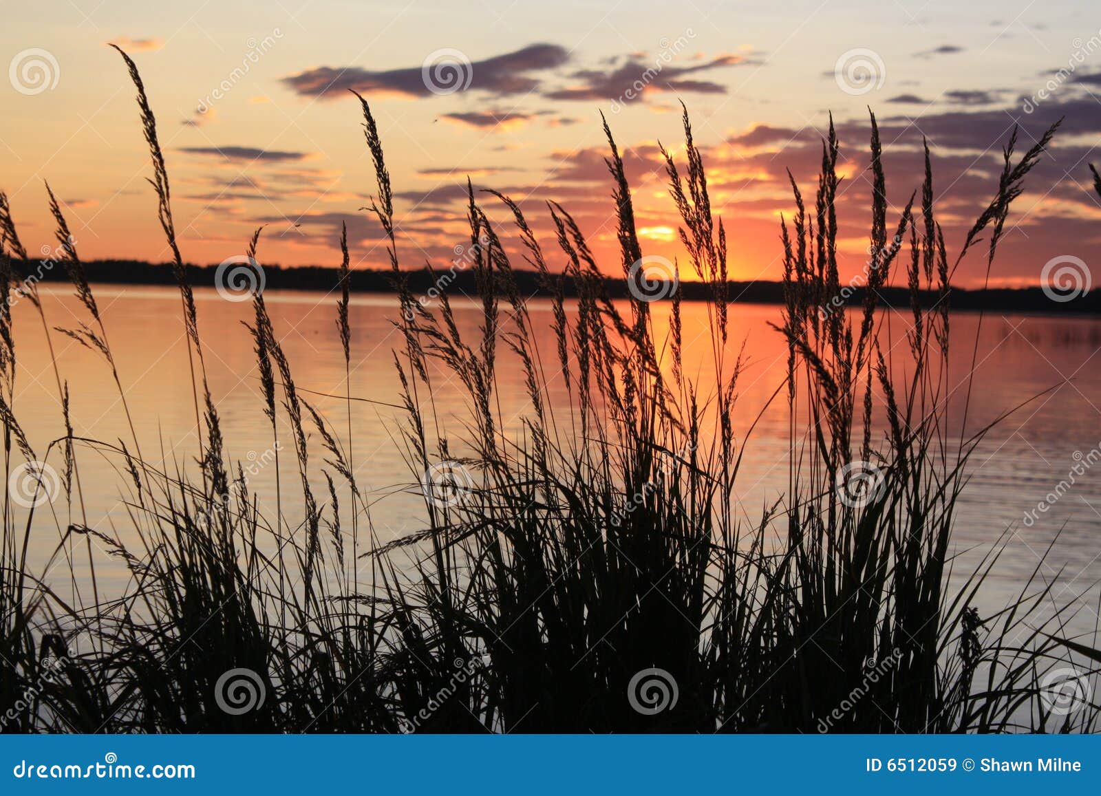 Sun set on the pond stock image. Image of smoke, serene - 6512059