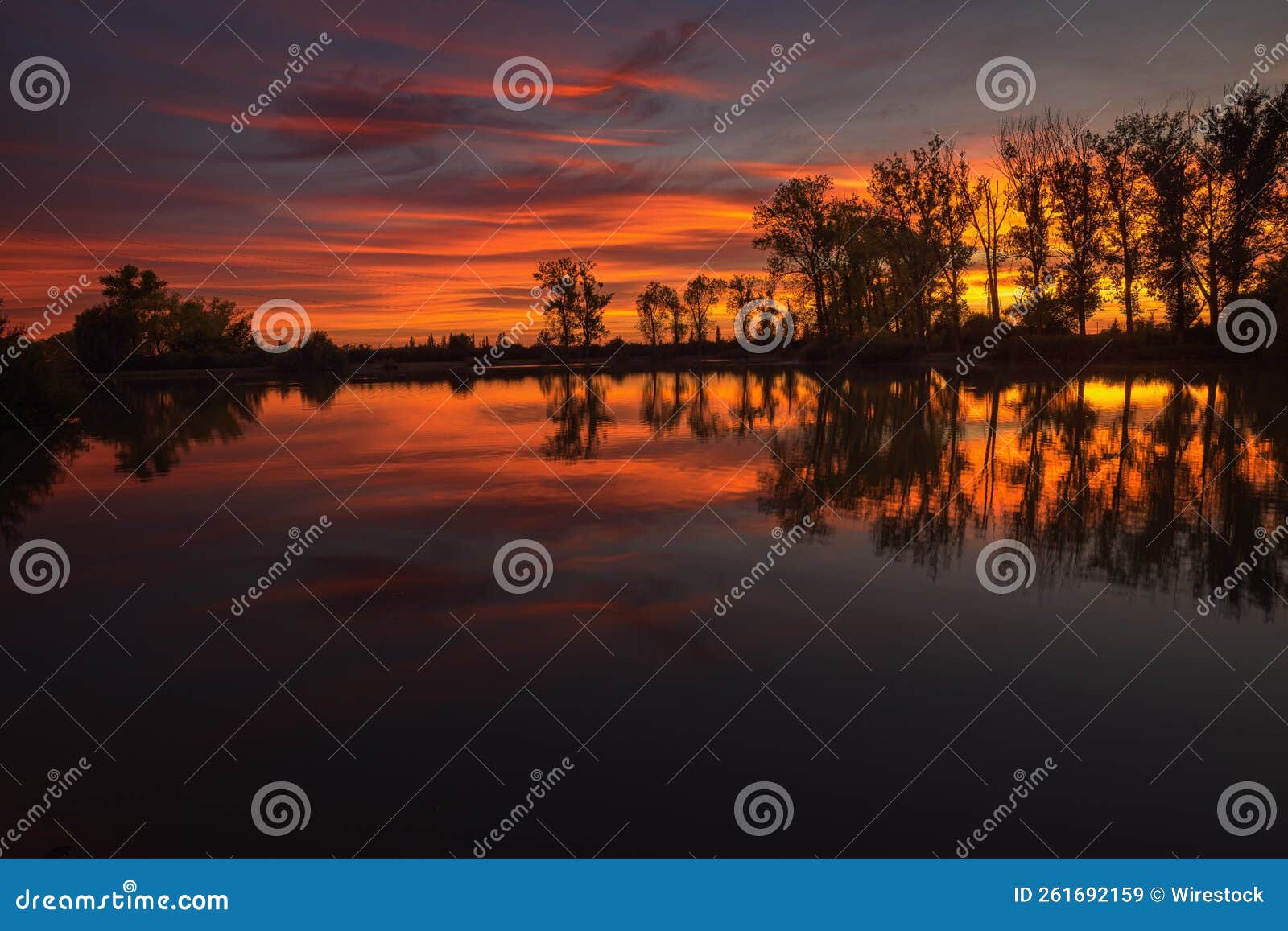 Reflection on an ponds stock image. Image of czechia - 261692159