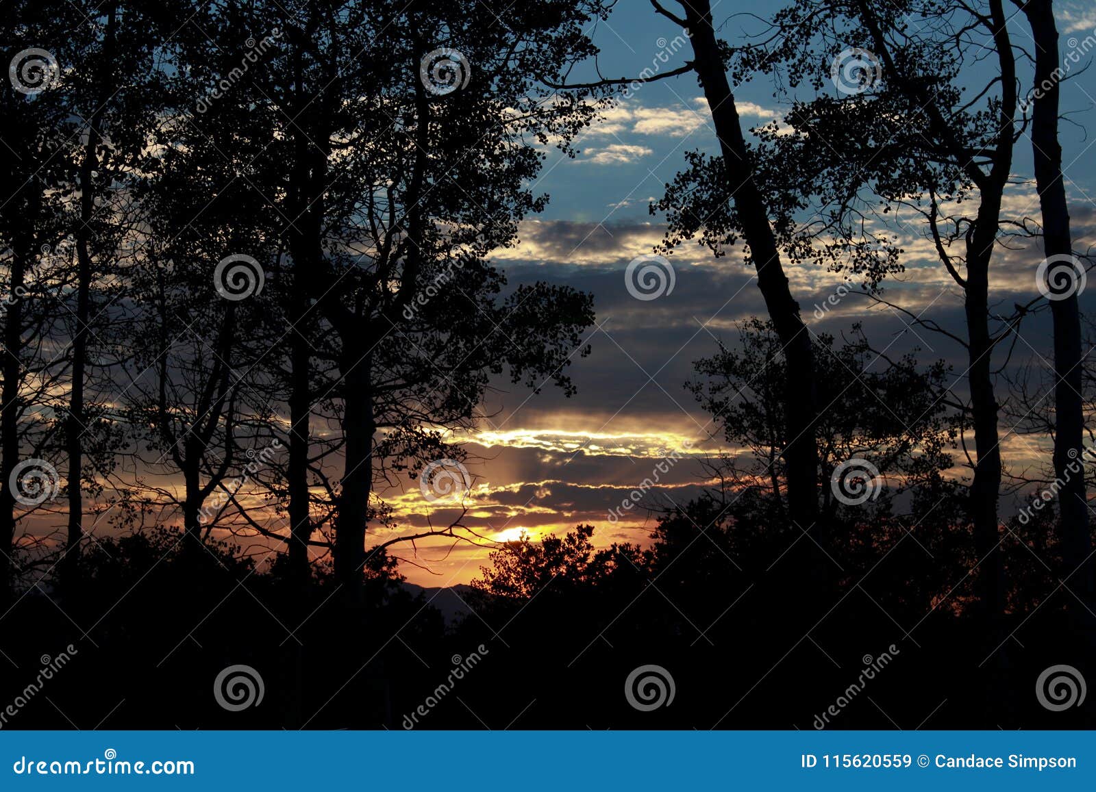 Sun Setting among the Trees Stock Image - Image of clear, clouds: 115620559