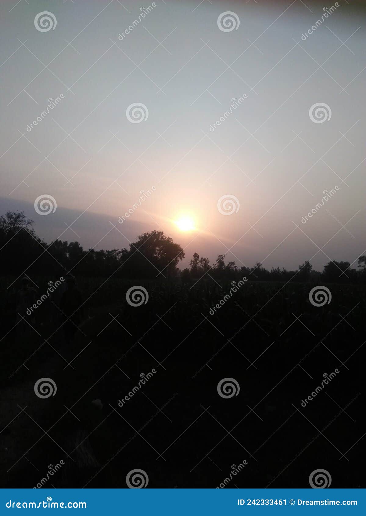 Sunset Time stock image. Image of seting, sunset, timing - 242333461