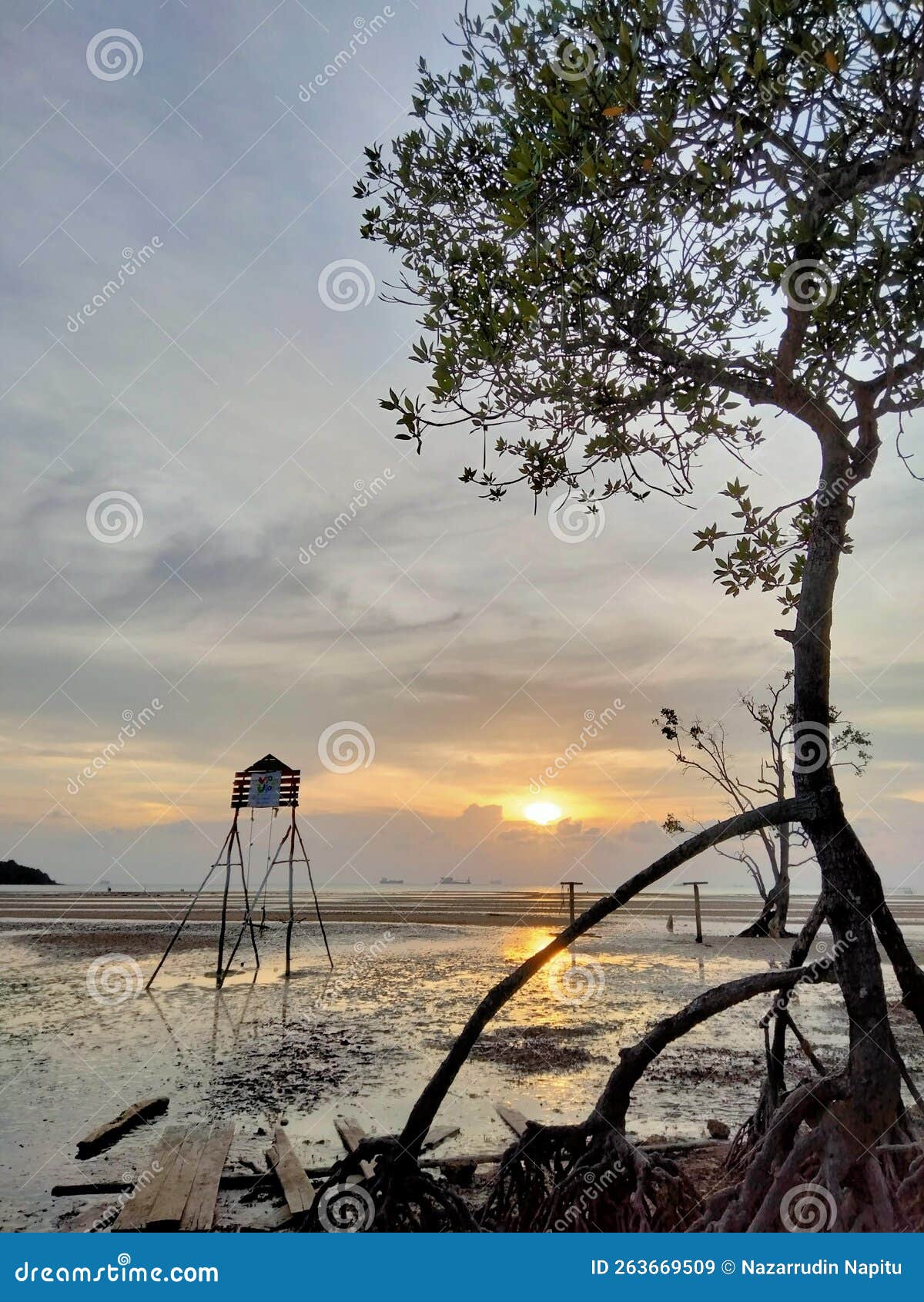 The Sun Sets at Batam Beach Stock Image - Image of tree, shore: 263669509