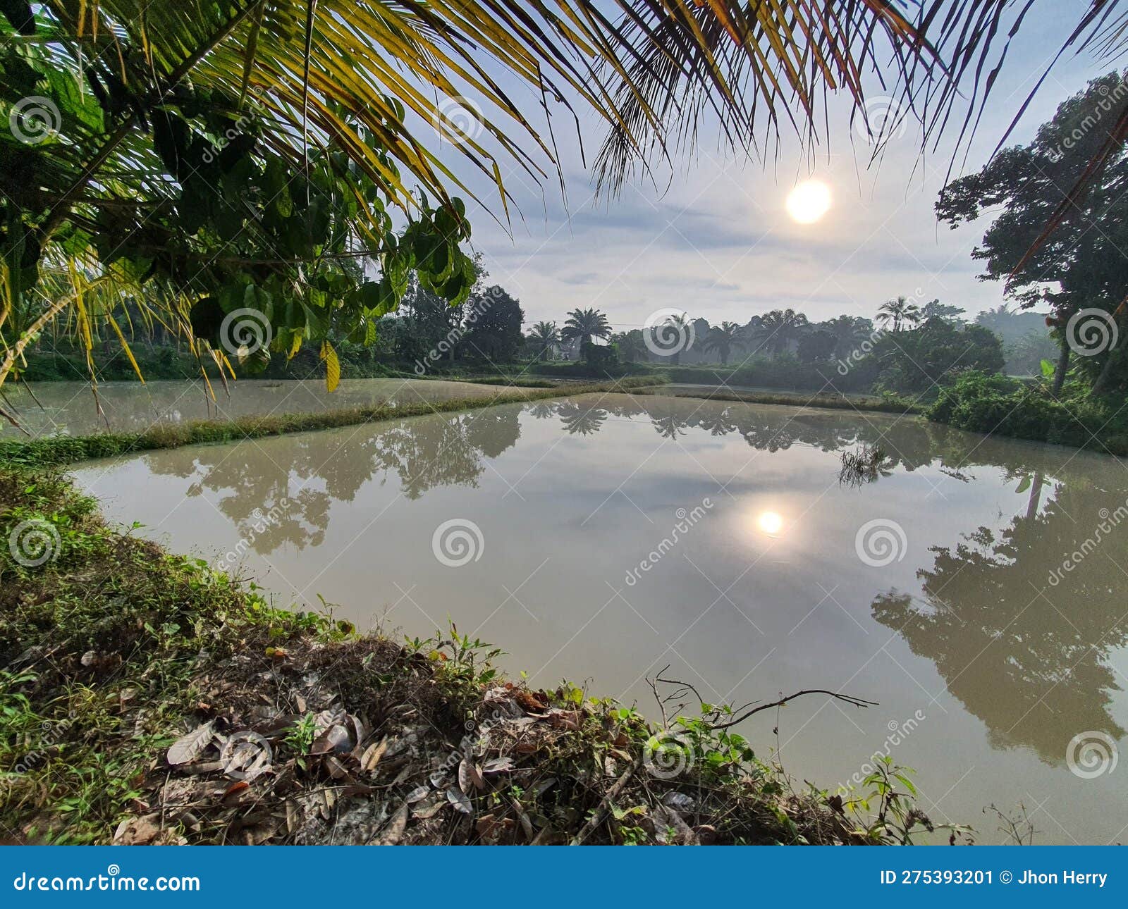 The Sun Sets at the Edge of the Fish Pond Stock Image - Image of pond ...