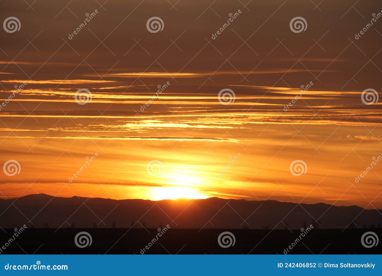 The Sun Sets Over the Horizon. Most Yellow Stock Photo - Image of park ...