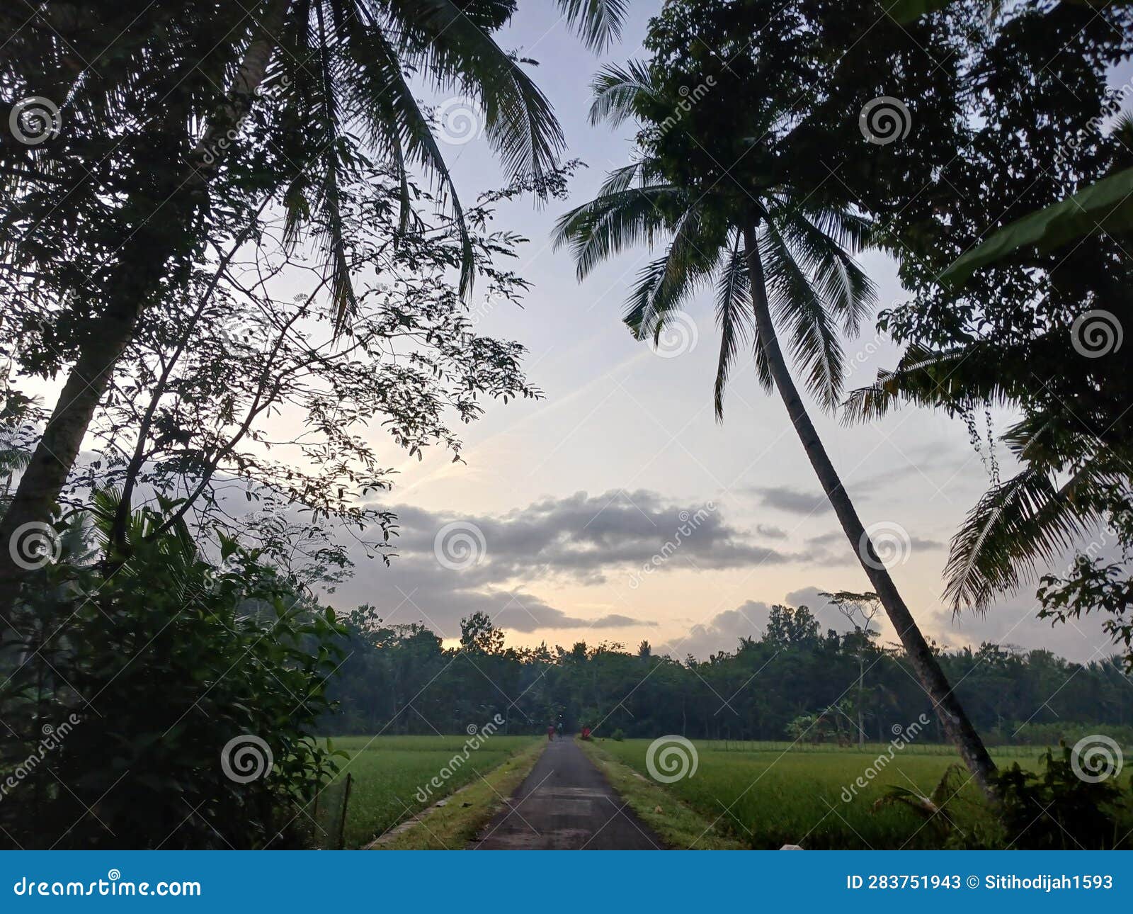 The Sun Sets and the Sun Rises Stock Image - Image of beautiful, rises ...