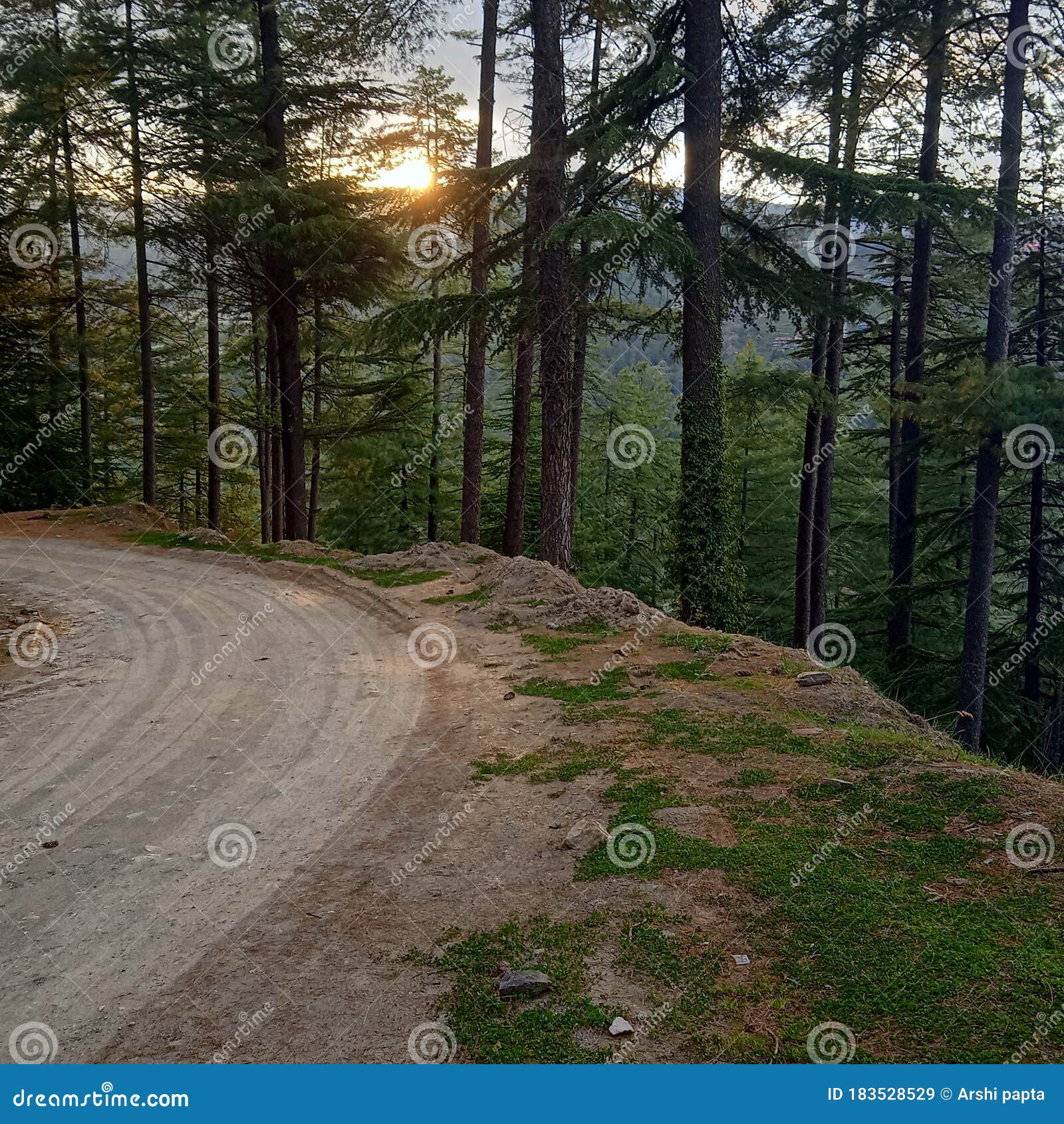 Sun sets to rise again... stock image. Image of againgratitude - 183528529