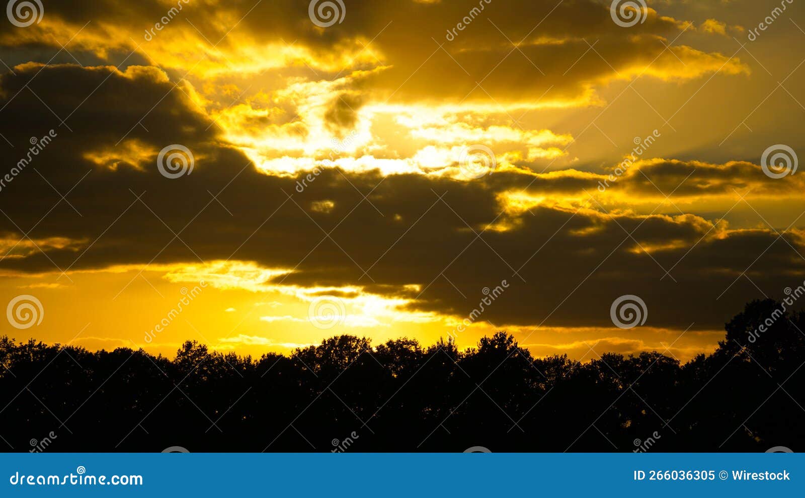 Sun is Setting Behind the Clouds Over the Trees Stock Image - Image of ...