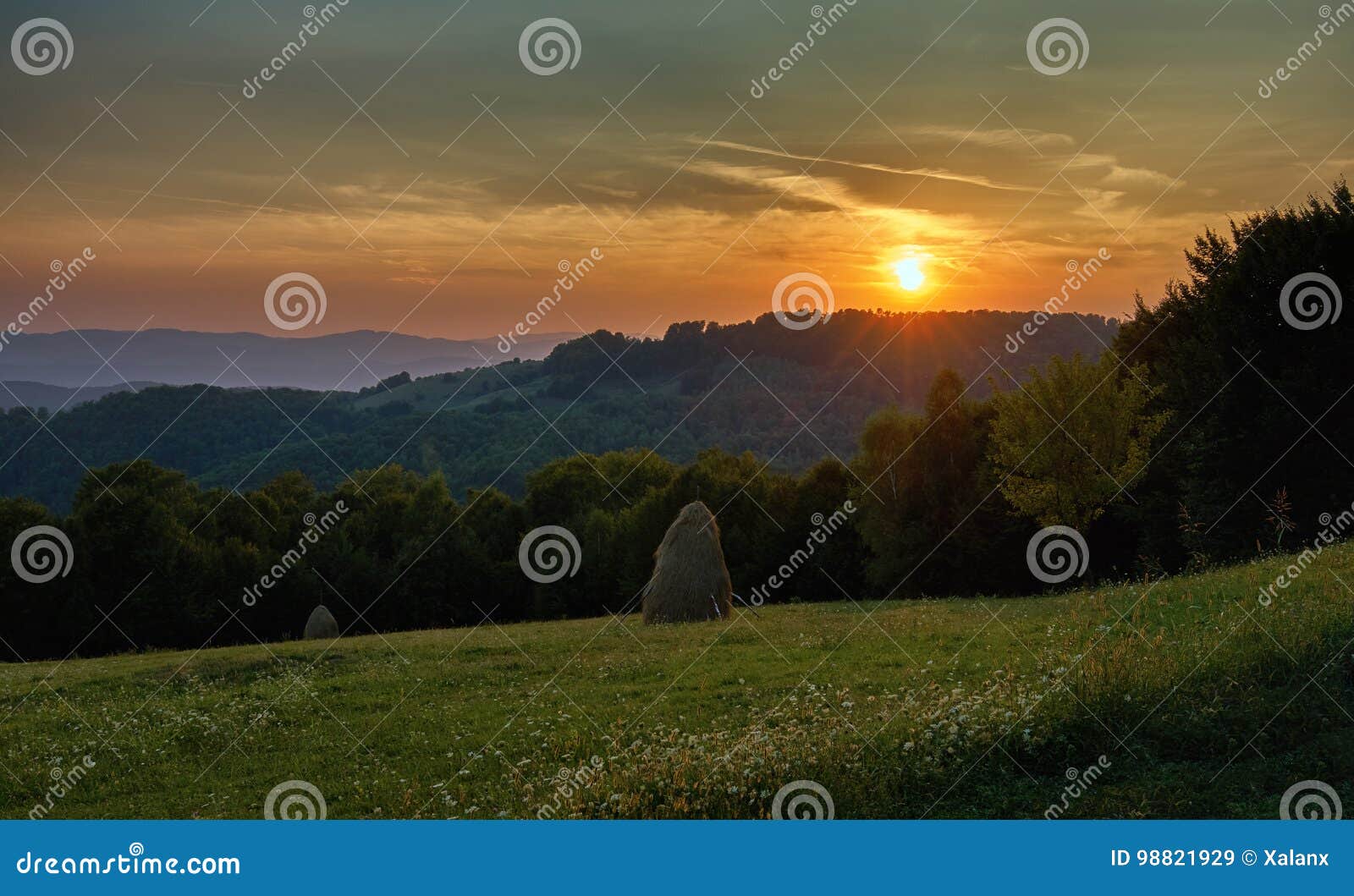 Sunset Landscape in Countryside Stock Image - Image of forest, rural ...
