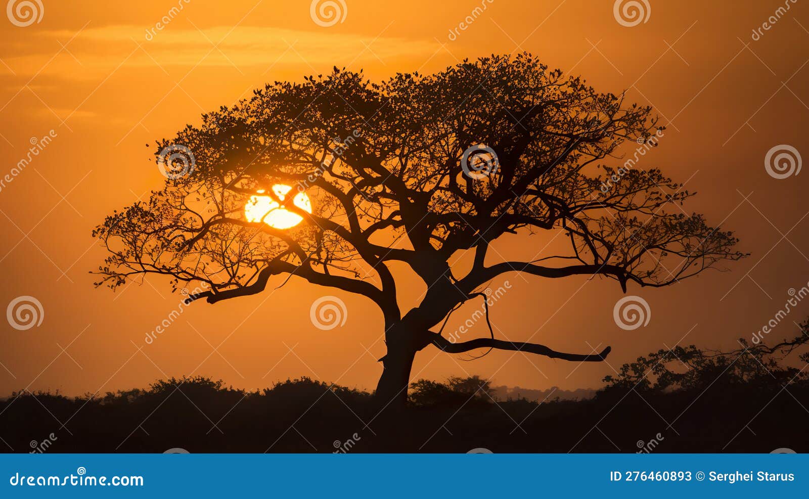 The Sun is Setting Behind a Tree in a Field. AI Generative Image Stock ...