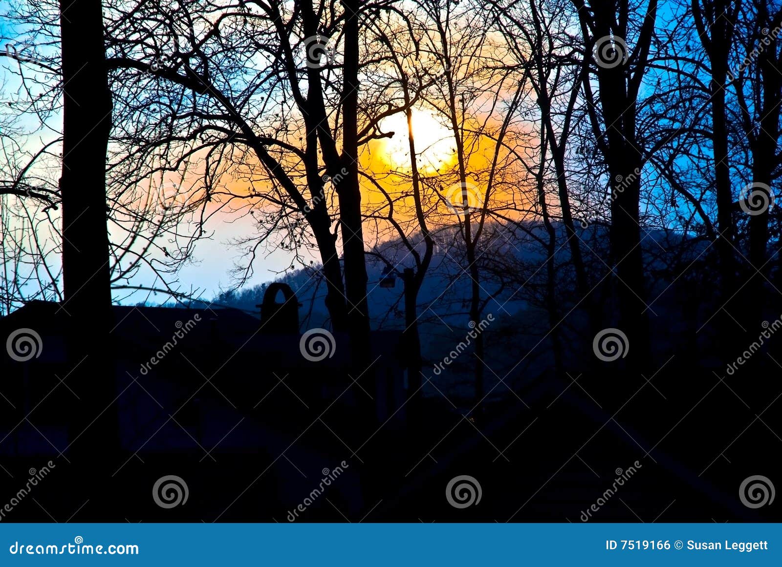 Sun Setting Behind Trees stock photo. Image of fall, seasonal - 7519166