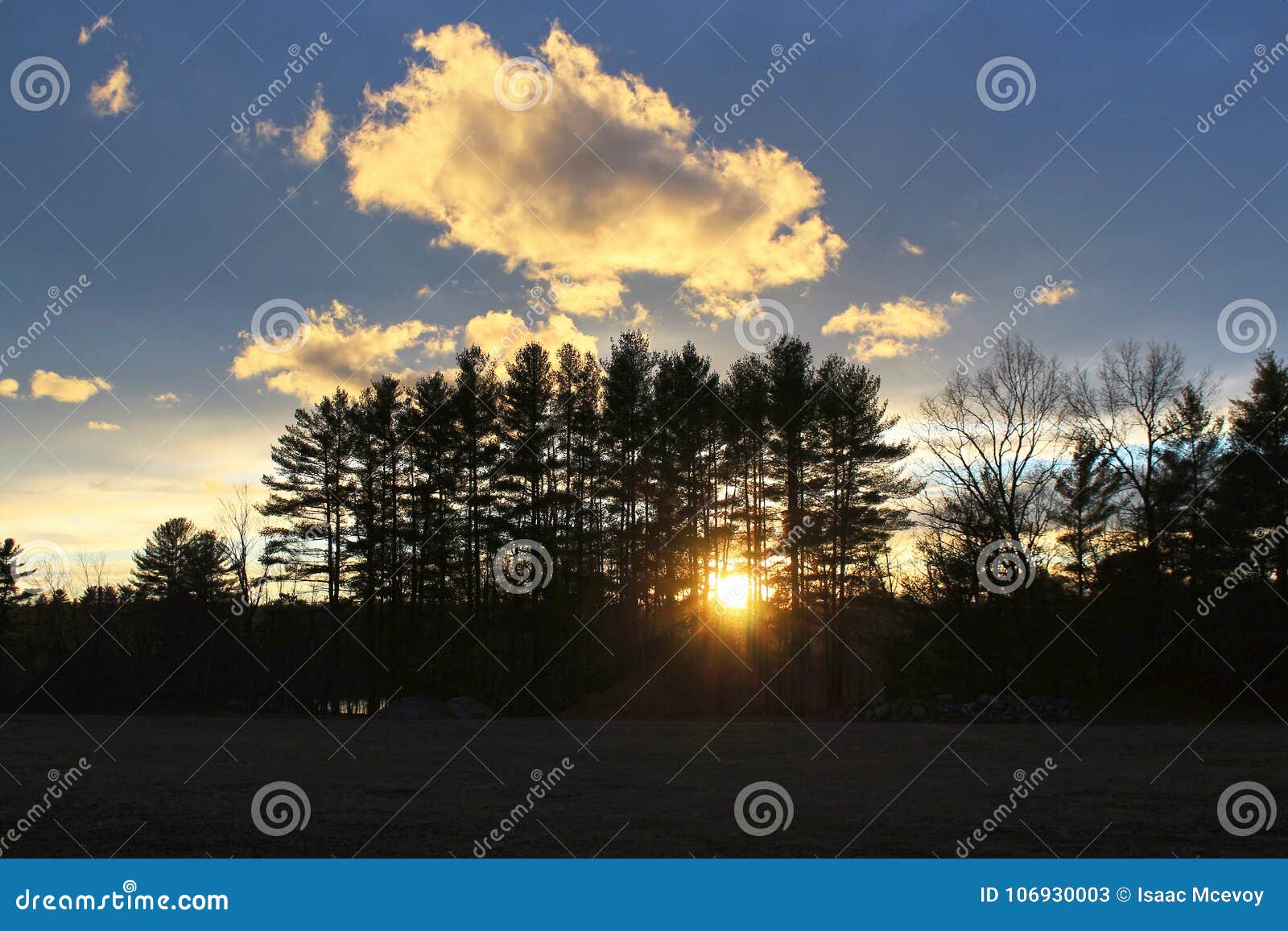 Sun Setting Behind the Trees Stock Image - Image of north, setting ...