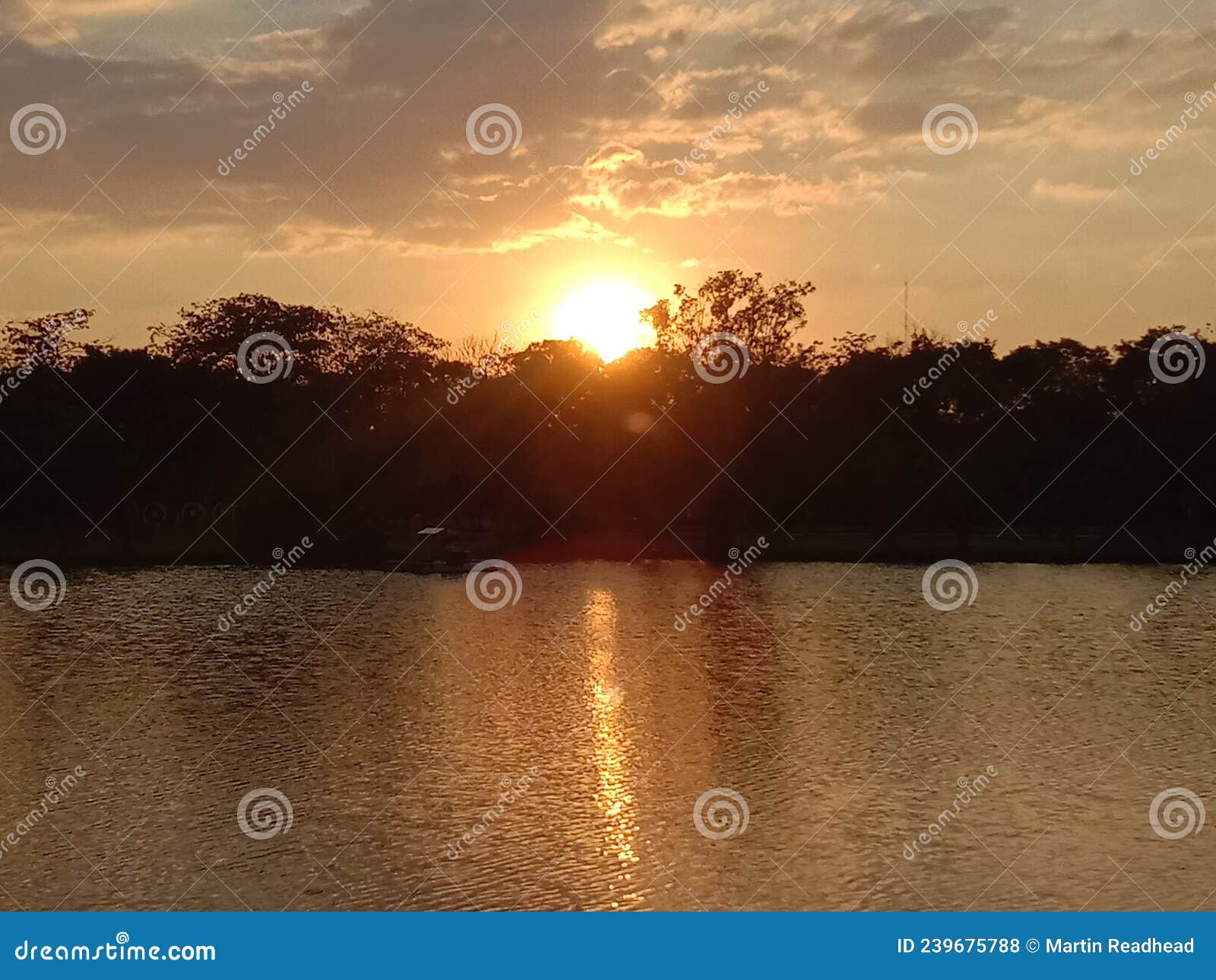 Sun Setting Behind the Trees Over Looking a Lake Stock Photo - Image of ...