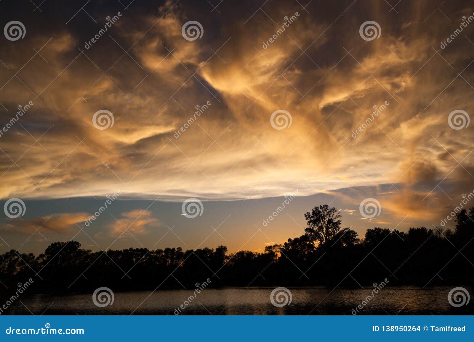 Sunset Over a Pond with Trees Stock Photo - Image of calm, outside ...