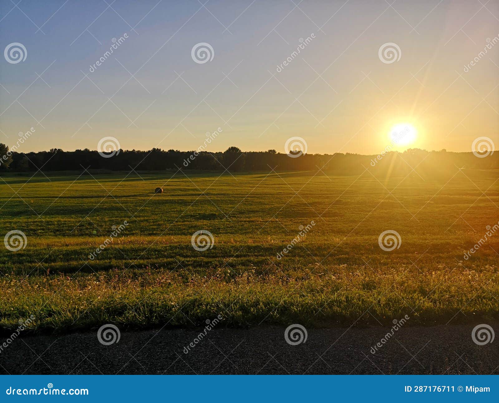 Sun Setting Down on Green Field Stock Image - Image of green, field ...