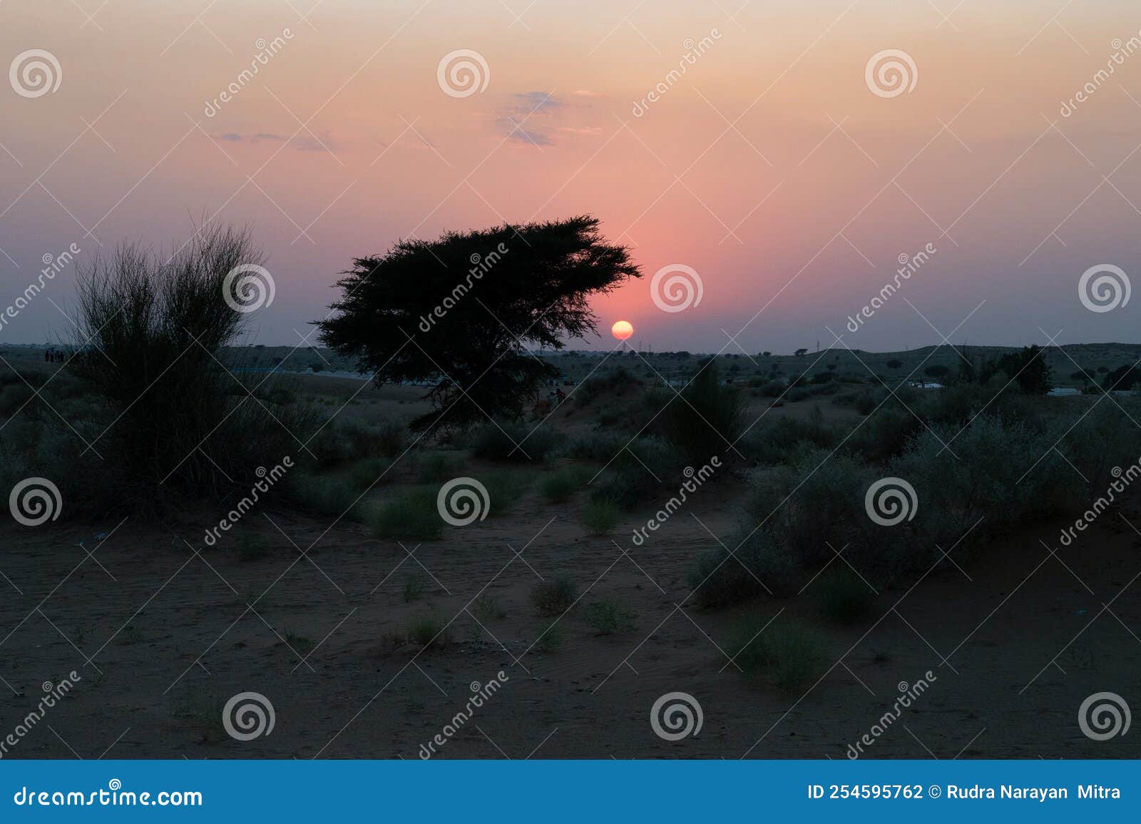 Sun Setting at the Horizon of Thar Desert,Rajasthan, India Stock Photo ...