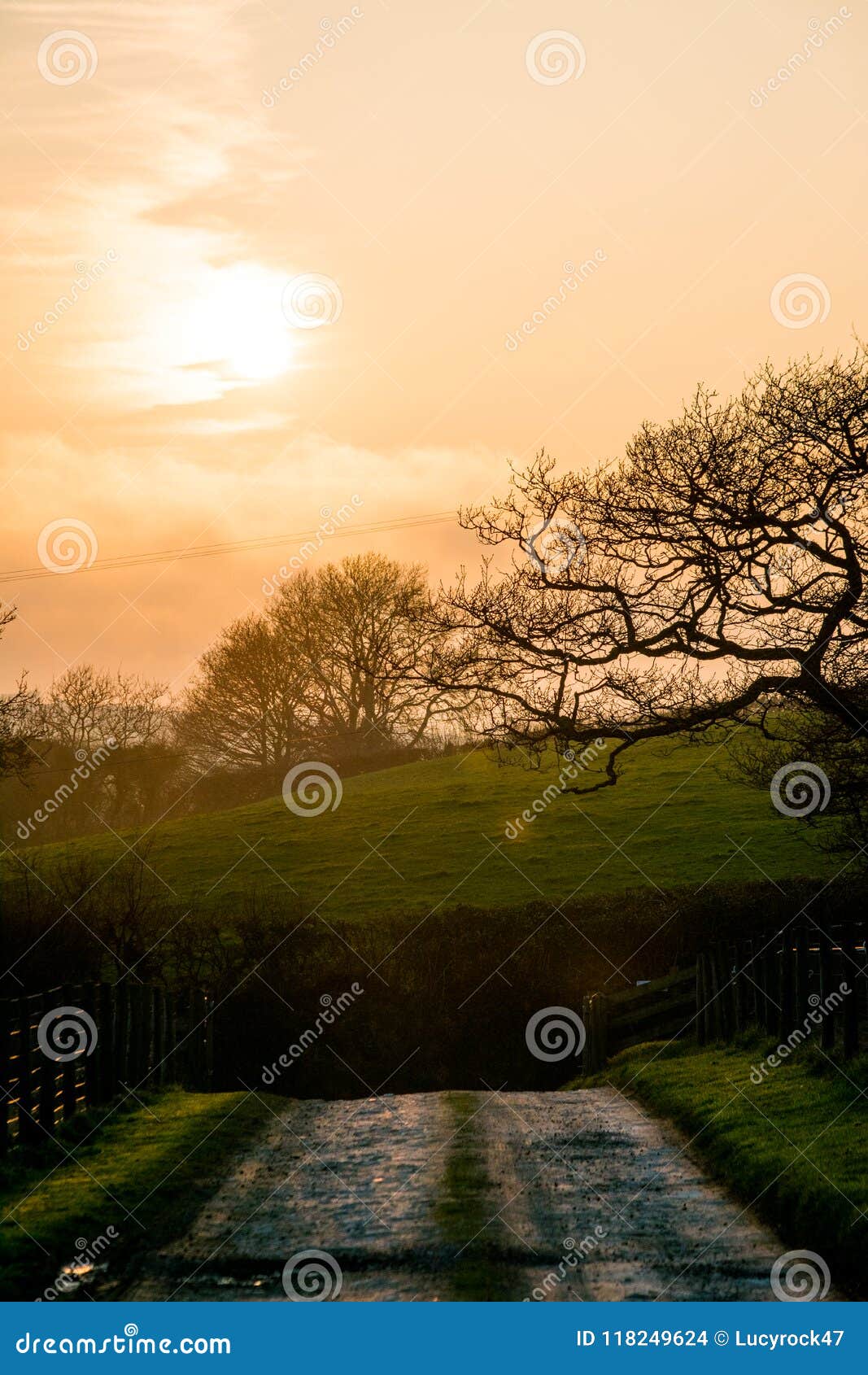 The Bright Yellow Sun Setting Over a Farm Stock Photo - Image of trees ...