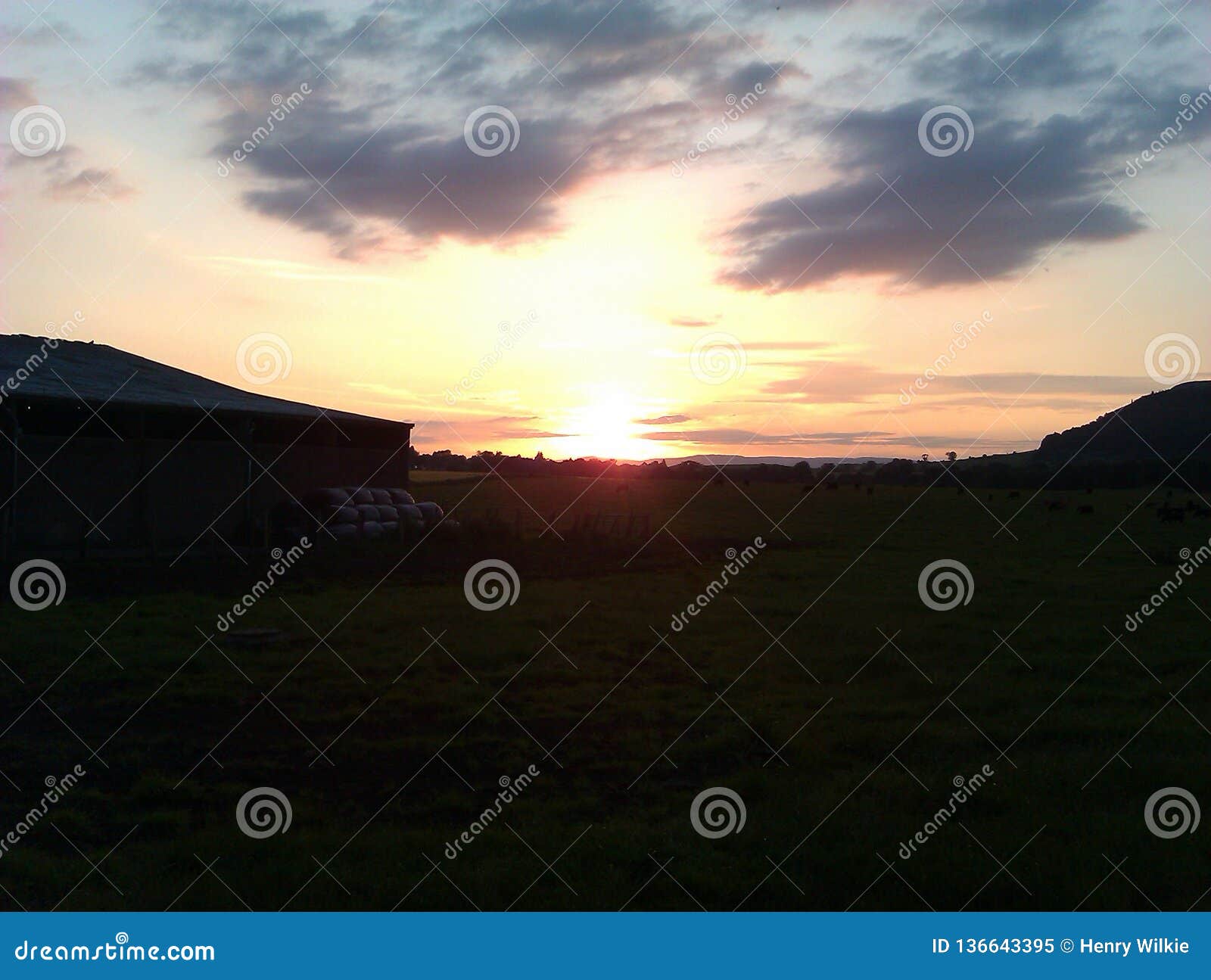 Setting a shoot up stock image. Image of setting, naturemanarto - 136643395