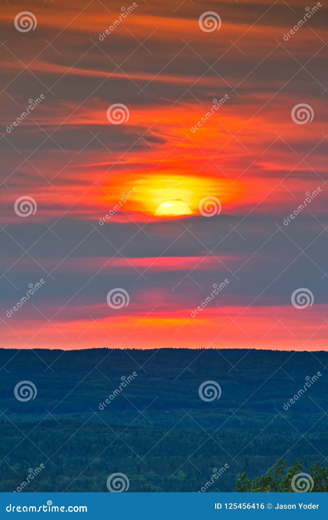 Sunset over a forest stock photo. Image of horizon, national - 125456416