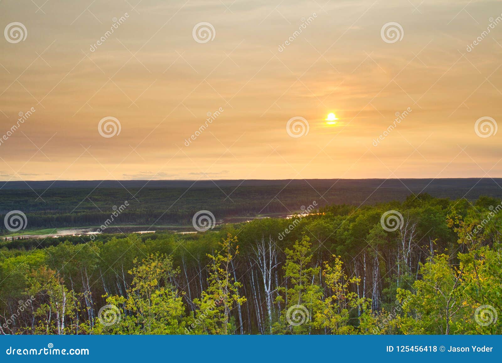 Sunset over a forest stock photo. Image of albert, canada - 125456418