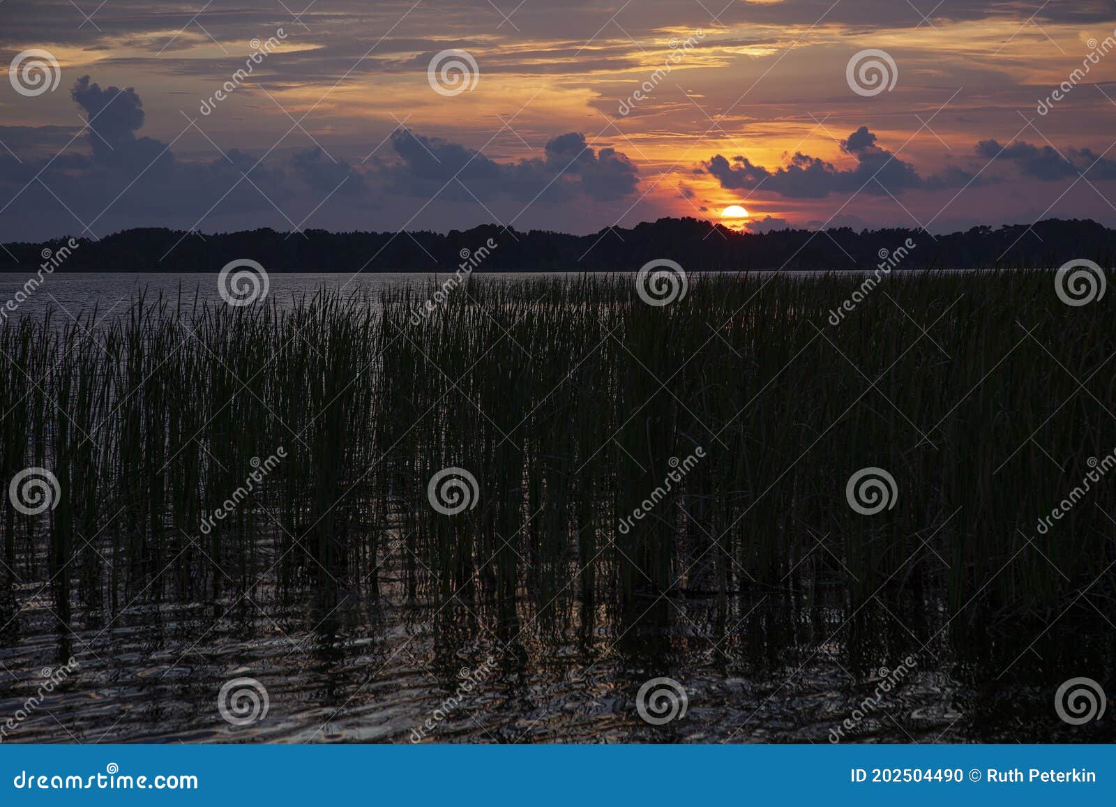Sun Setting Over Lake Tarpon, Florida Stock Photo - Image of dramatic ...