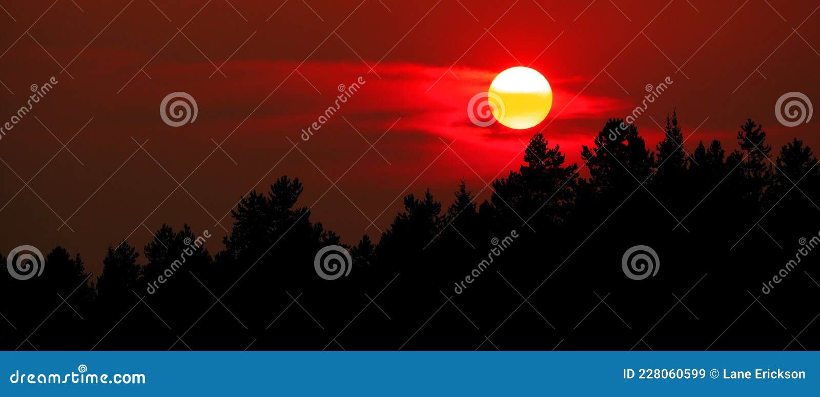 Sun Setting Over Pine Trees Forest Wilderness Peaceful Nature Stock ...