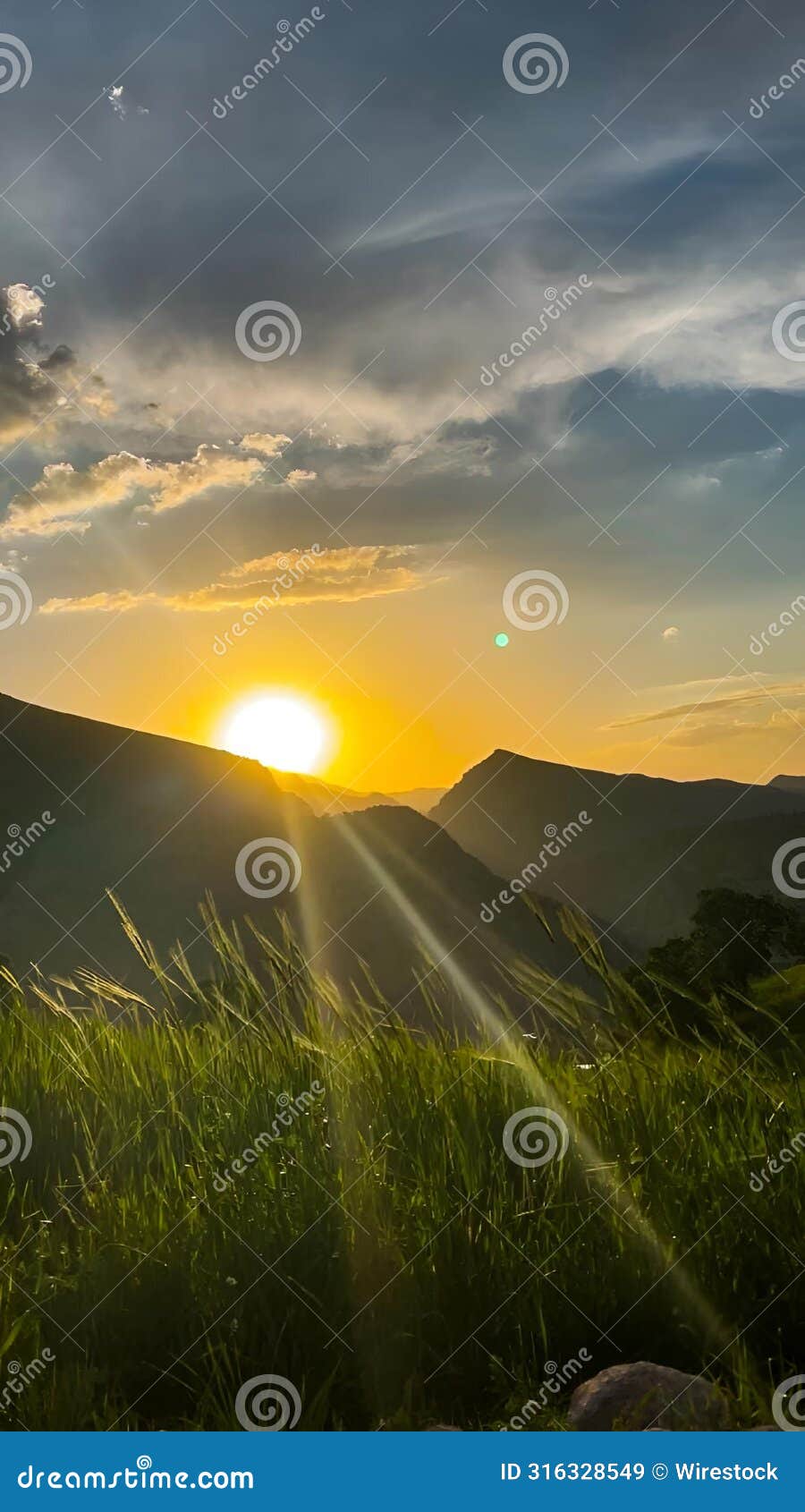 Sun Setting Over Trees and Green Hillside Stock Image - Image of ...