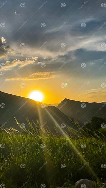 Sun Setting Over Trees and Green Hillside Stock Image - Image of ...