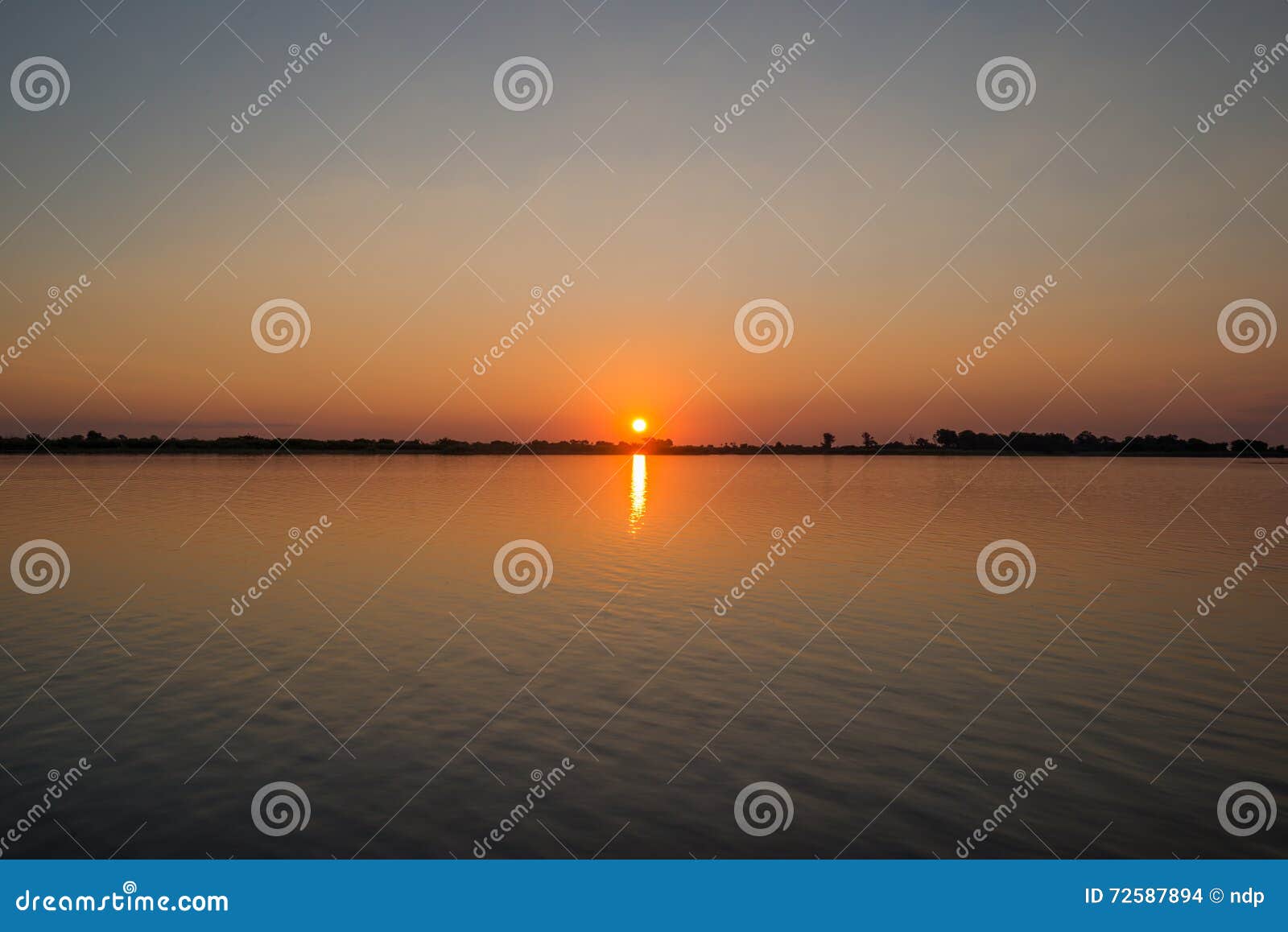 Sun Setting Over Trees on River Bank Stock Photo - Image of nature ...