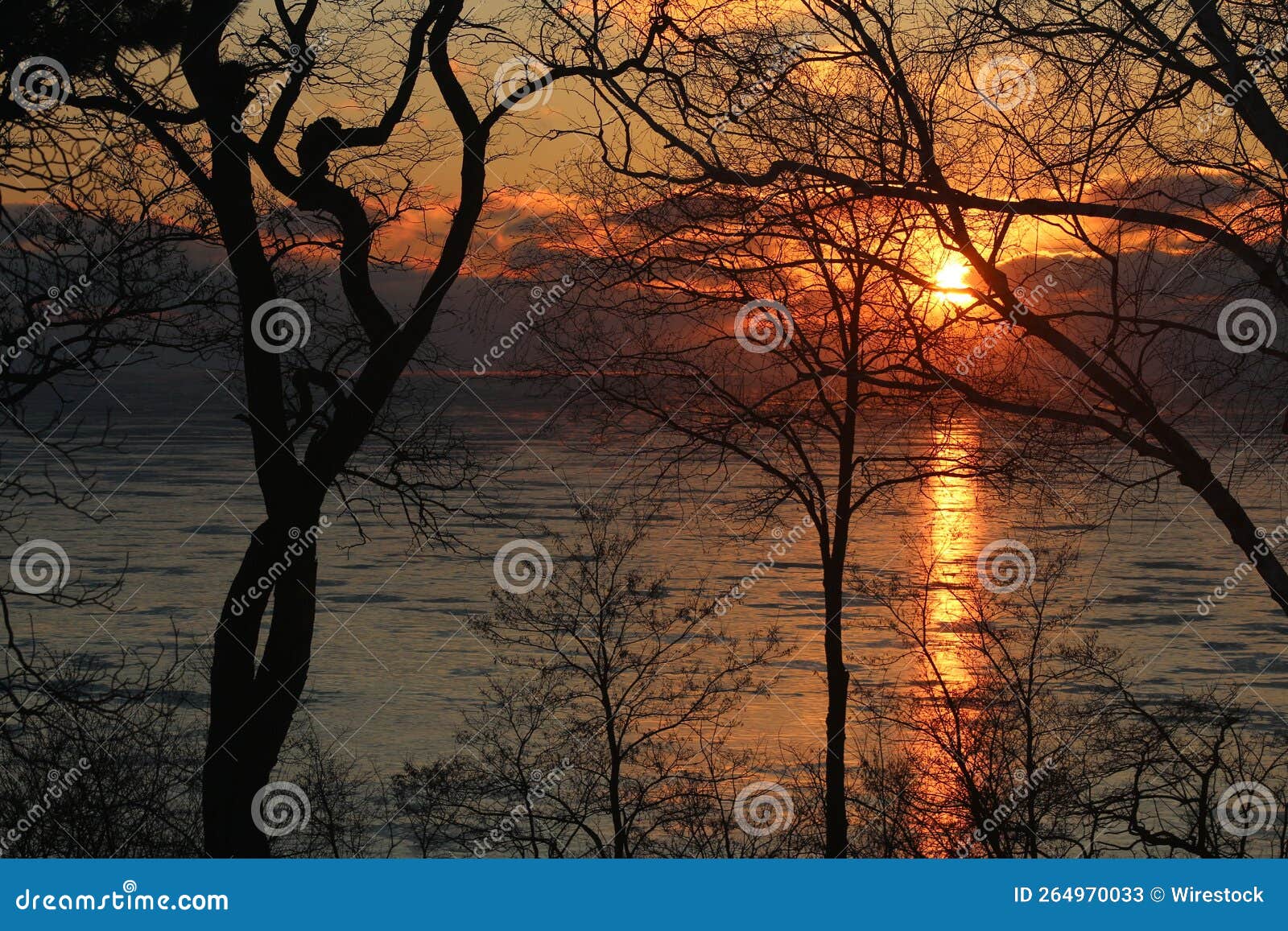 Sun Setting Over the Water with Bare Trees in the Foreground Stock ...