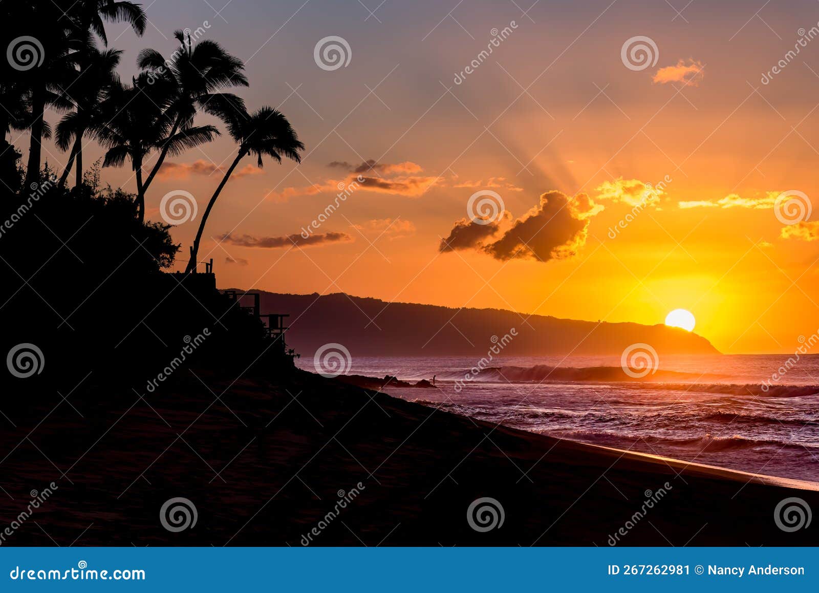 Sun Setting Over Waves And Palm Trees On Sunset Beach Hawaii Stock Image Image Of Sand Palm