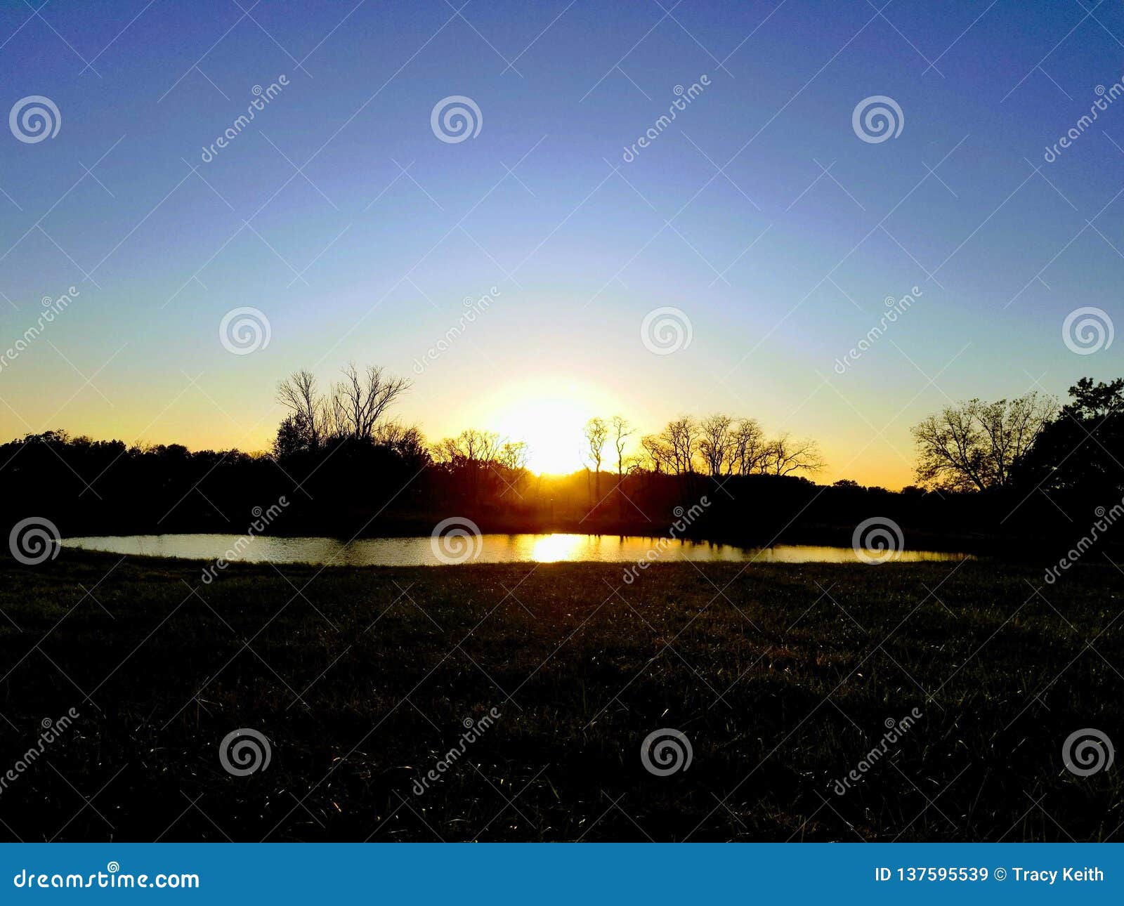 Sun setting on pond stock image. Image of setting, farm - 137595539
