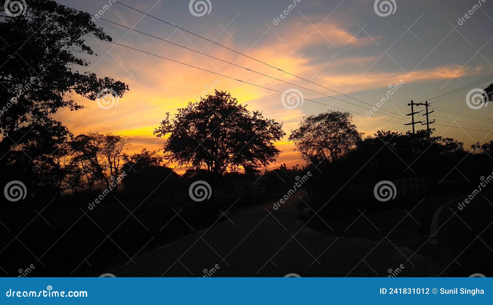 Sun Setting Scenery in Assam of India Stock Photo - Image of setting ...