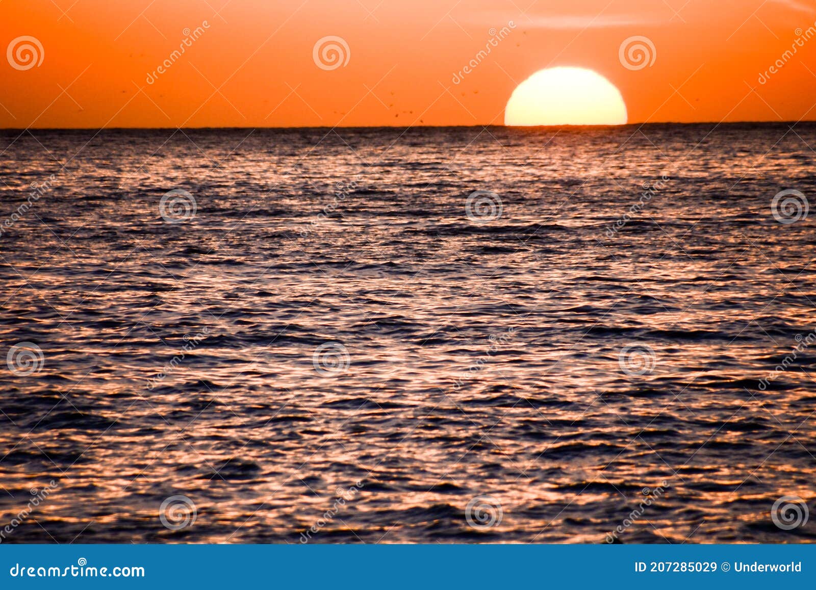 The Sun Setting in the Sea stock image. Image of ocean - 207285029
