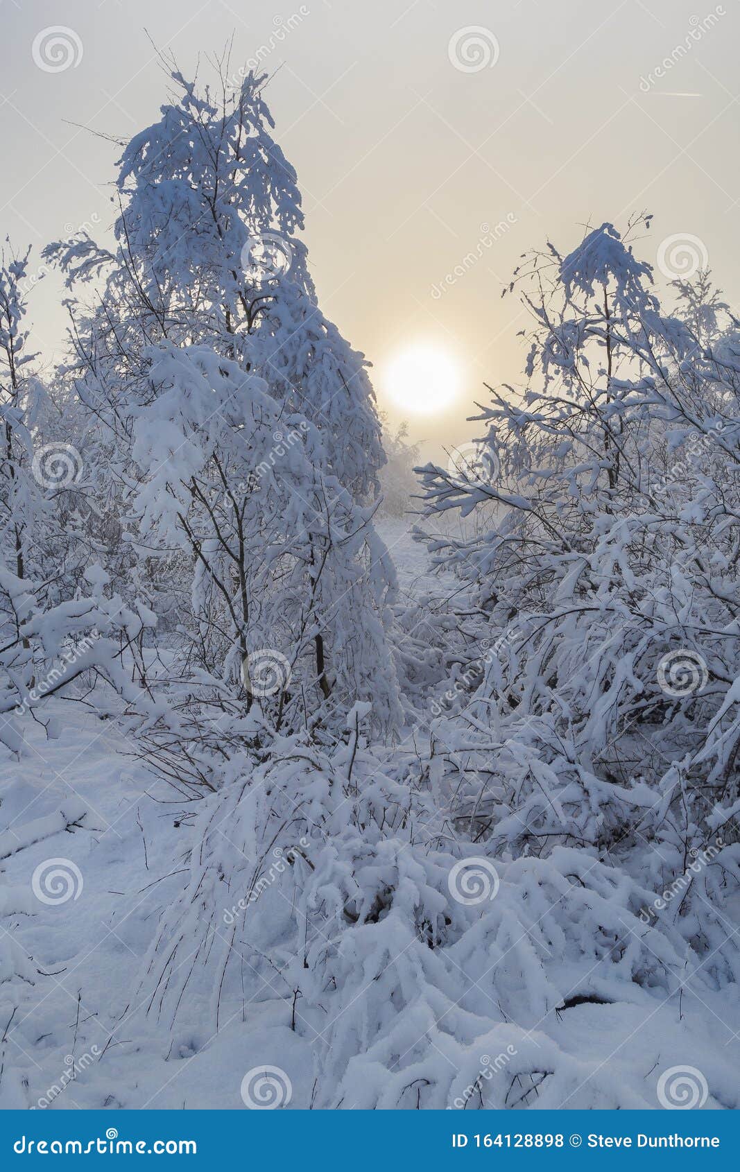 Winterscape Sunset stock photo. Image of winterscape - 164128898
