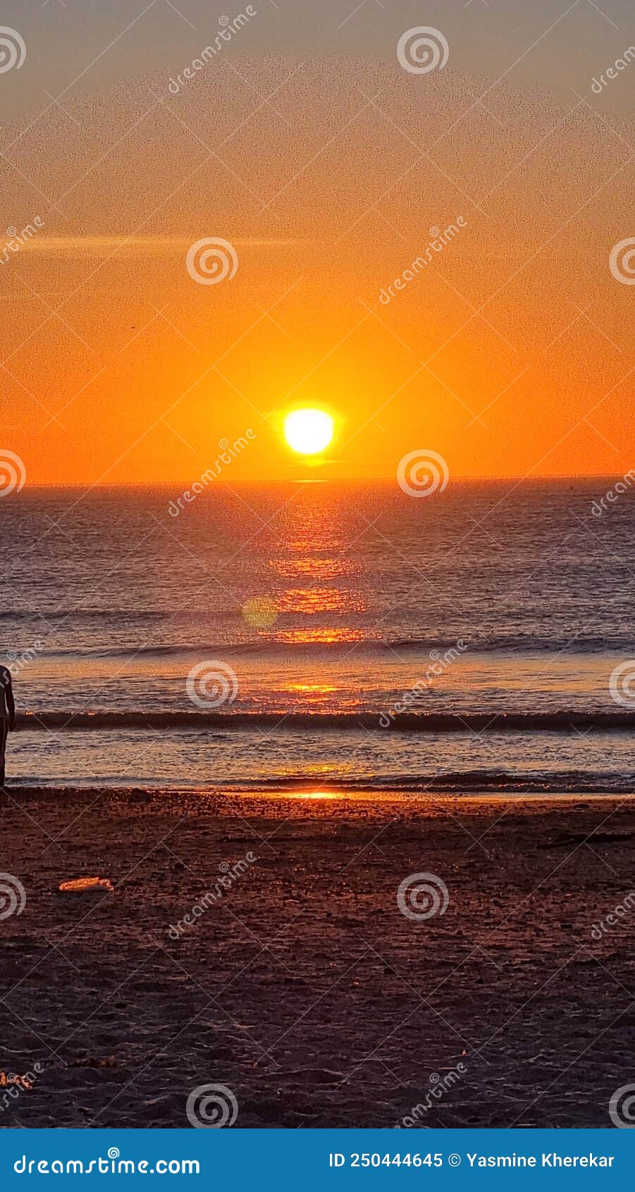 Sun setting in the water stock image. Image of sunlight - 250444645