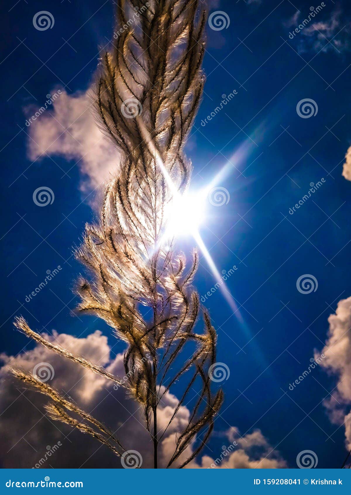 Sun shadow photos stock image. Image of shine, shadow - 159208041