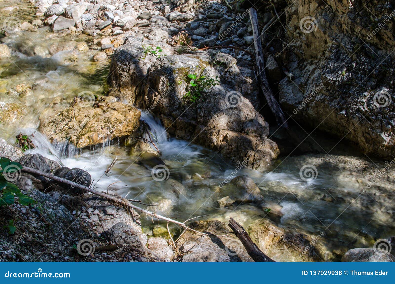 Sun and Shadow in the Water Stock Photo - Image of fluently, nature ...