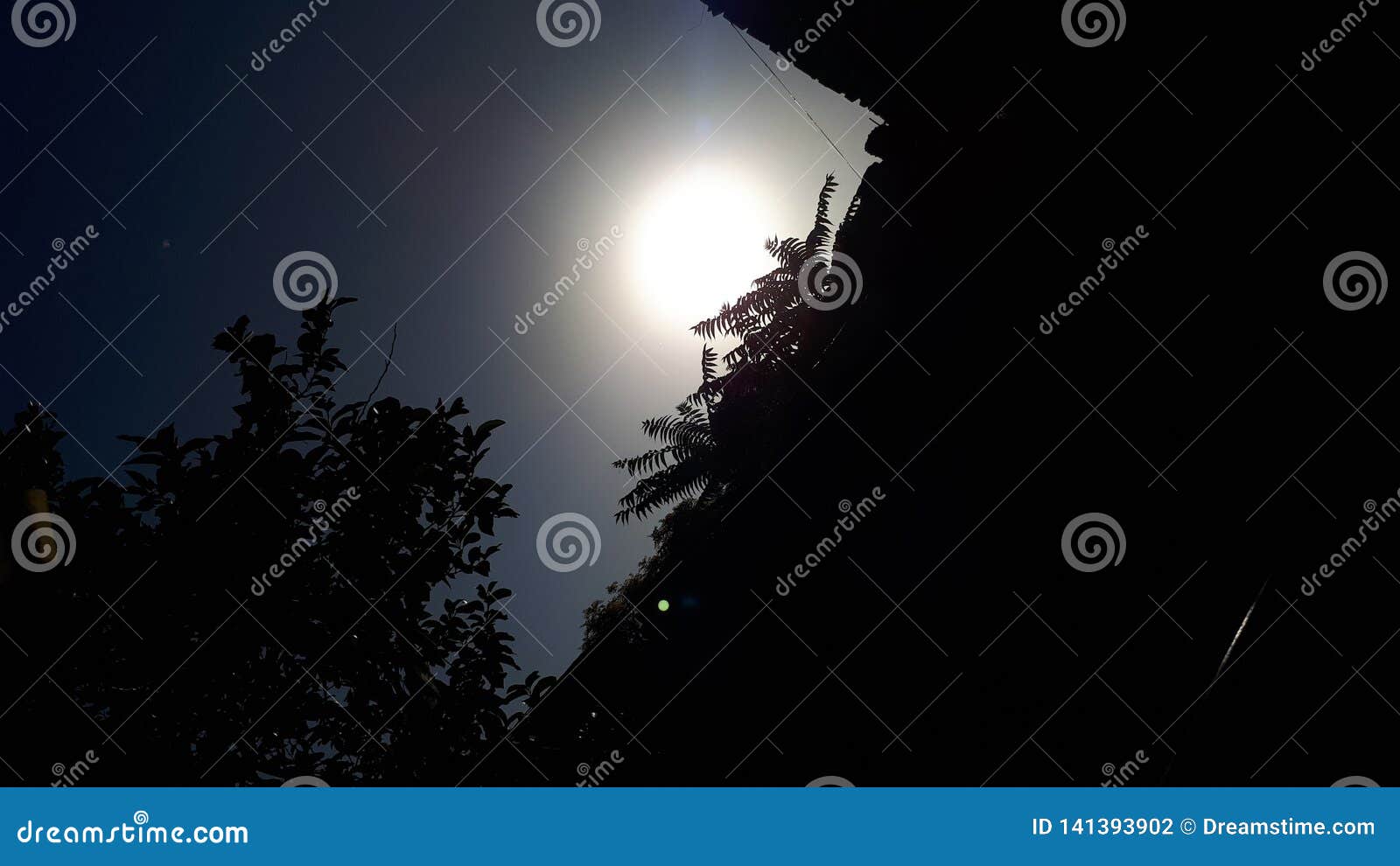 Sun and Shadows Beautiful Day Stock Photo - Image of shadows, beautiful ...