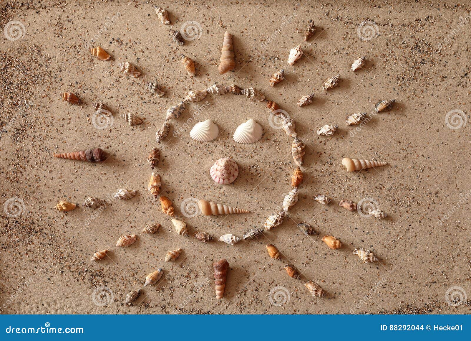 A Sun from shells stock photo. Image of summer, sunrays - 88292044