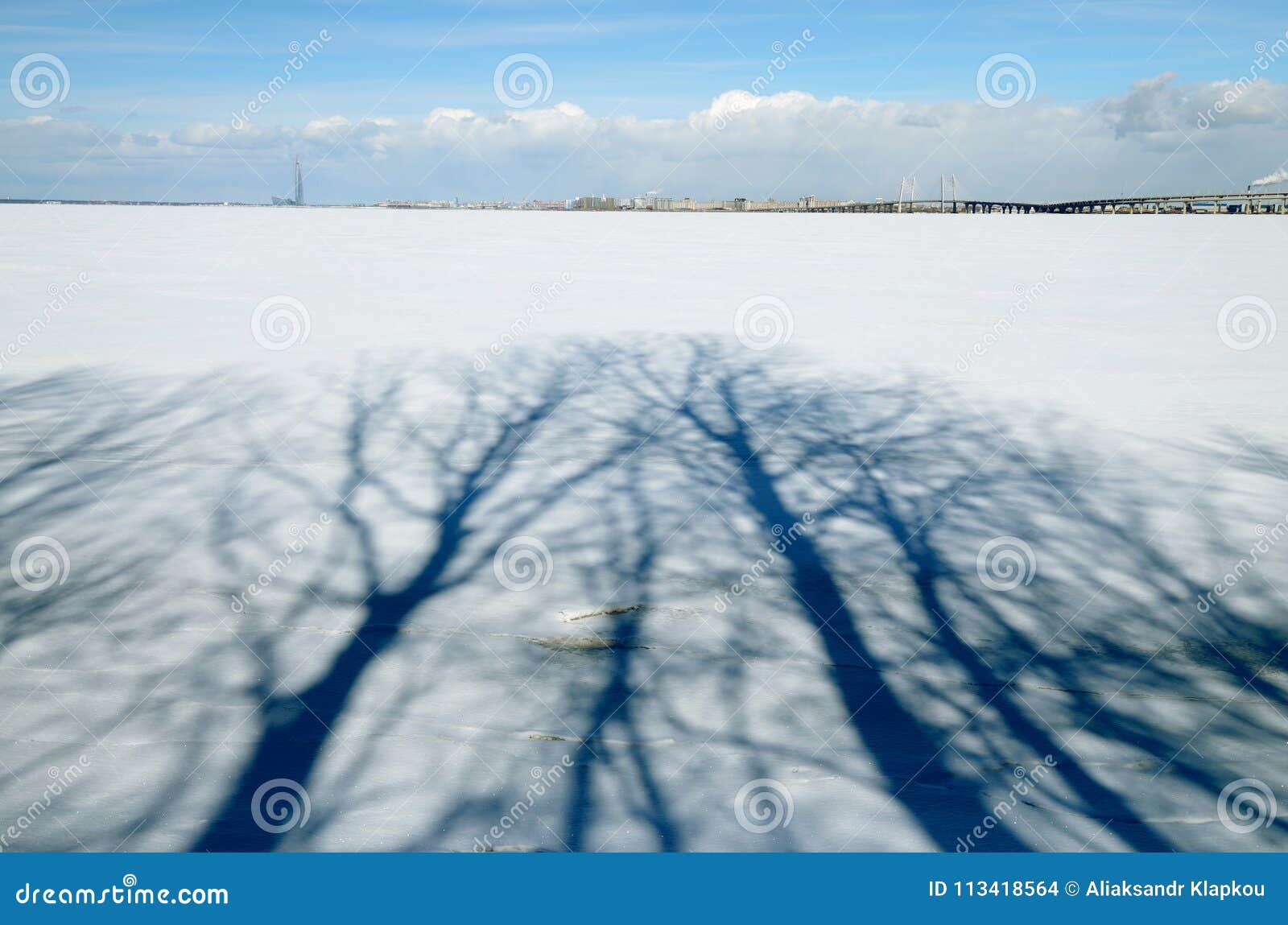 Shadows of Trees in the Snow. Stock Photo - Image of winter, nature ...
