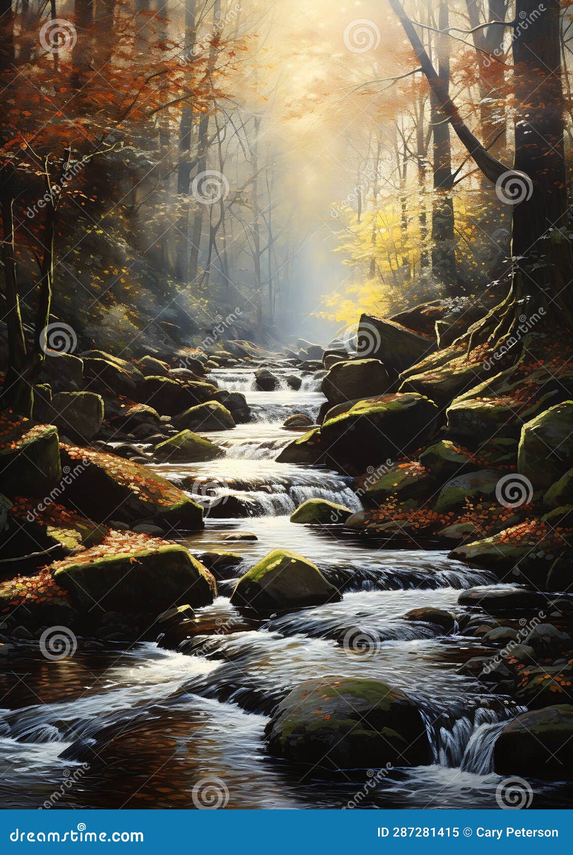 The Sun Shines Brightly through the Trees in the Forest Stock ...