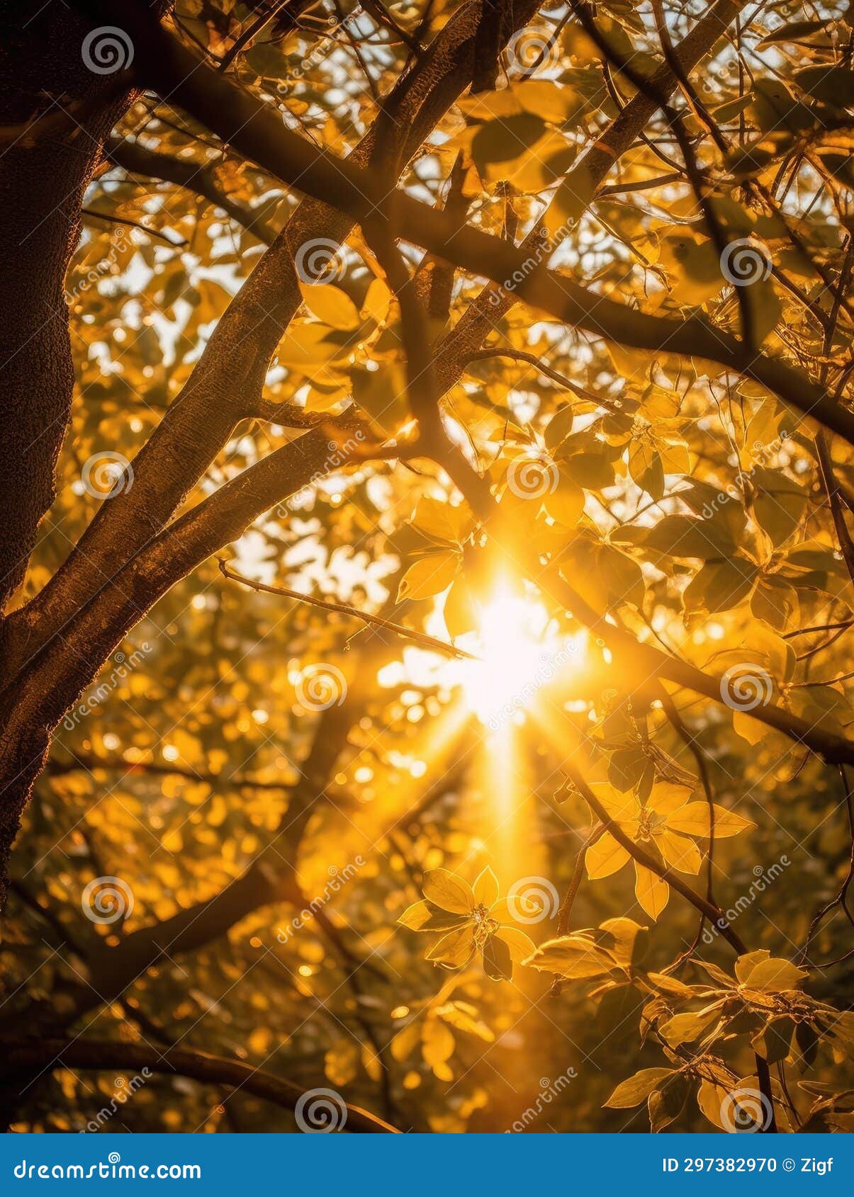 Sun Shines through the Leaves of a Tree Stock Illustration ...