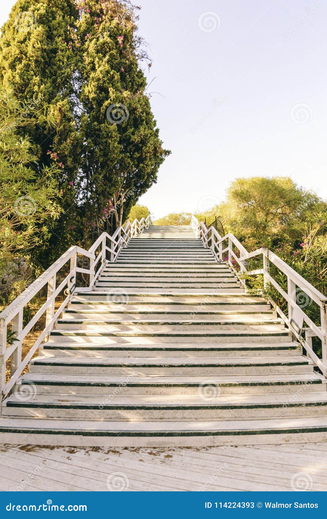Long staircase stock image. Image of active, nature - 114224393