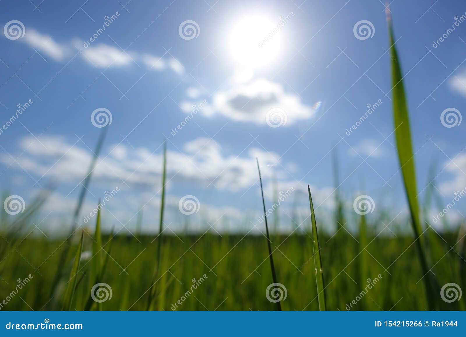 The Sun Shines Over a Grassy Field and Clouds Int he Sky Stock Photo ...