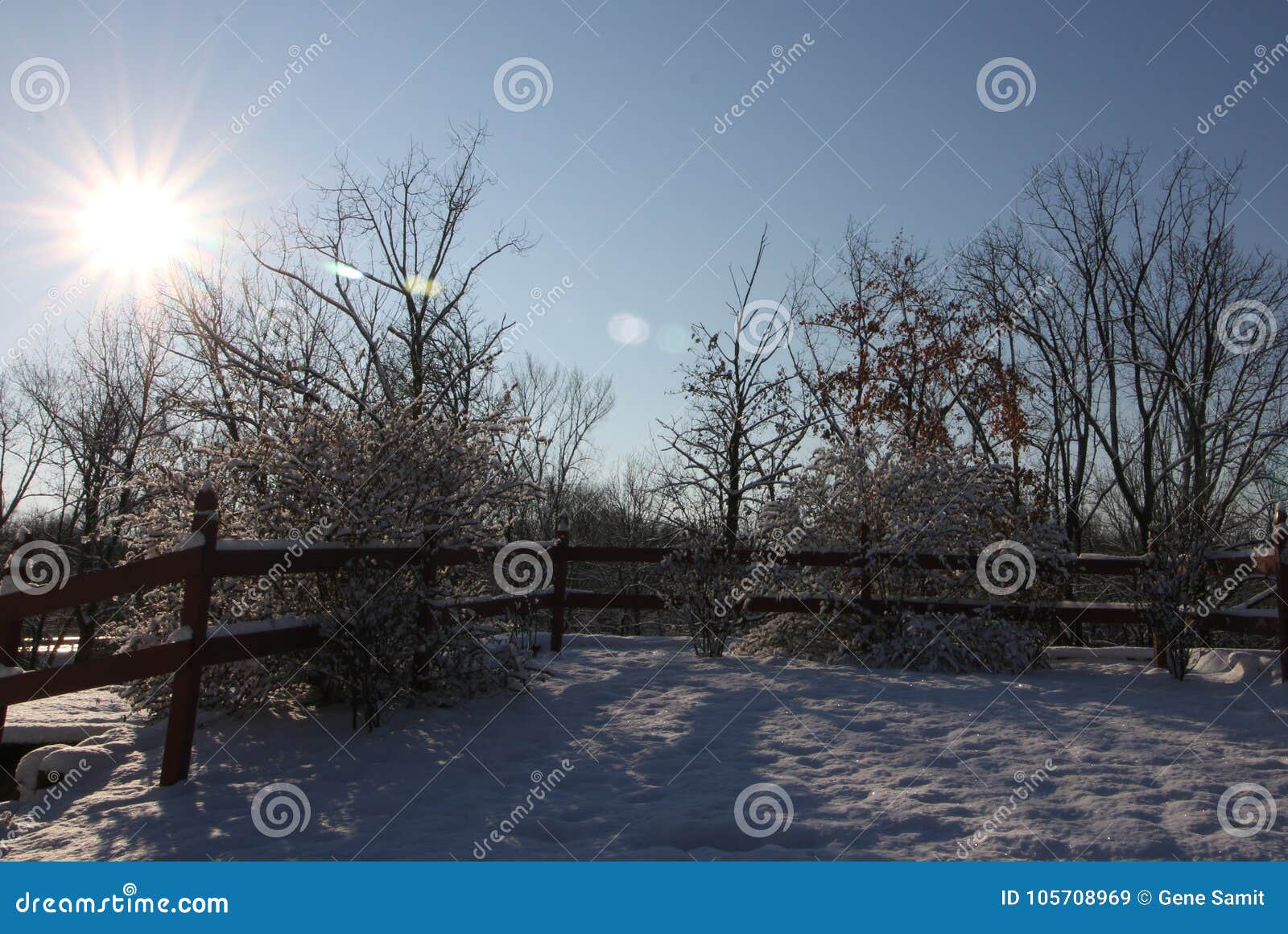 The Morning after the First Snow. Stock Image - Image of clear ...