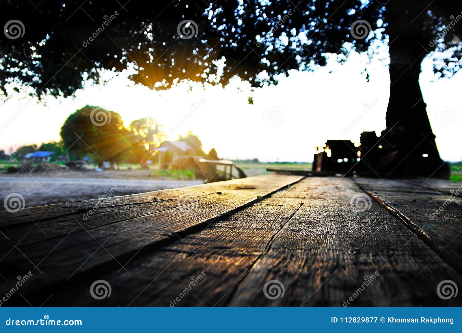 Sun Shining Down on a Wooden Table Stock Image - Image of shine, nature ...