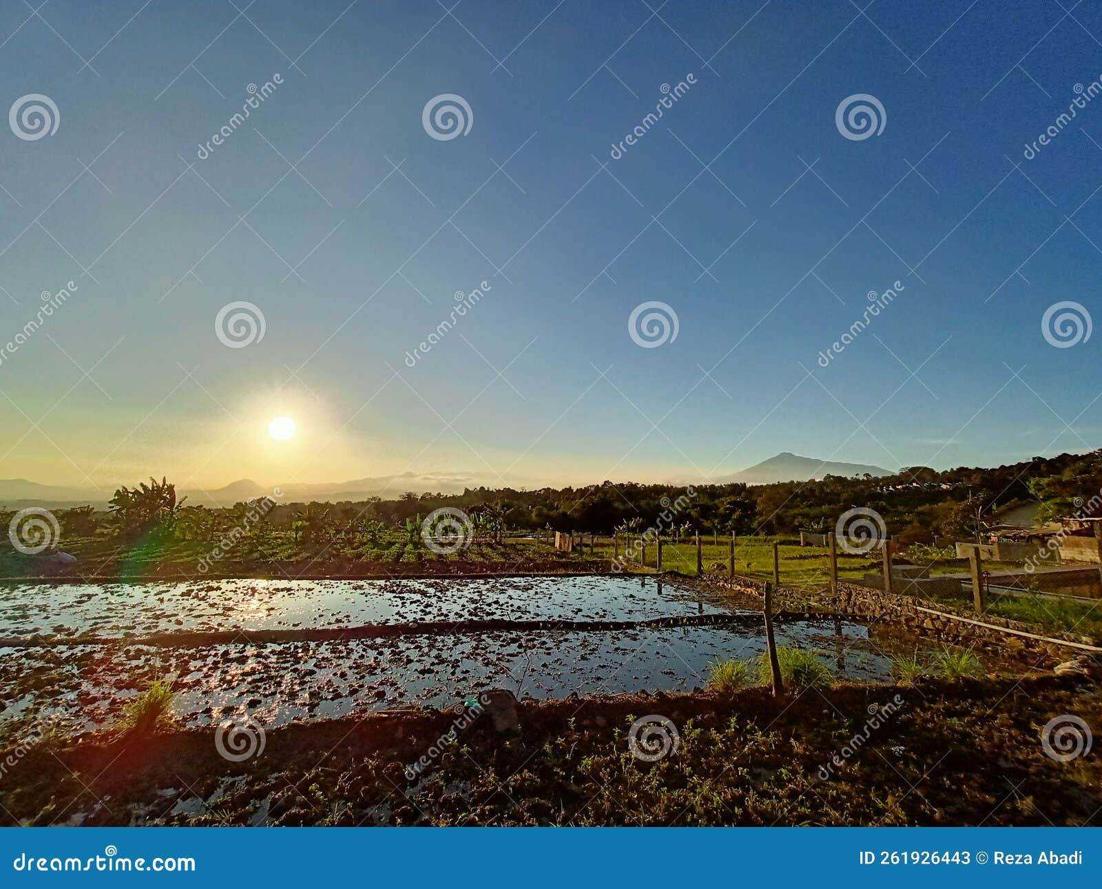 Sun, the Sun is Shining on the Fields Stock Image - Image of sunset ...