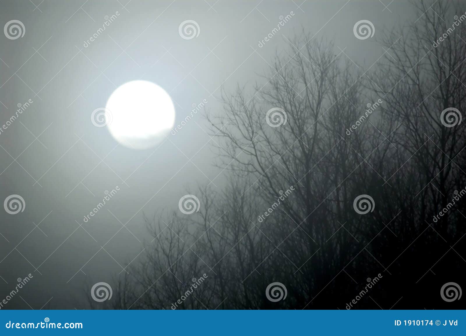 Sun shining through fog stock photo. Image of mist, globe - 1910174
