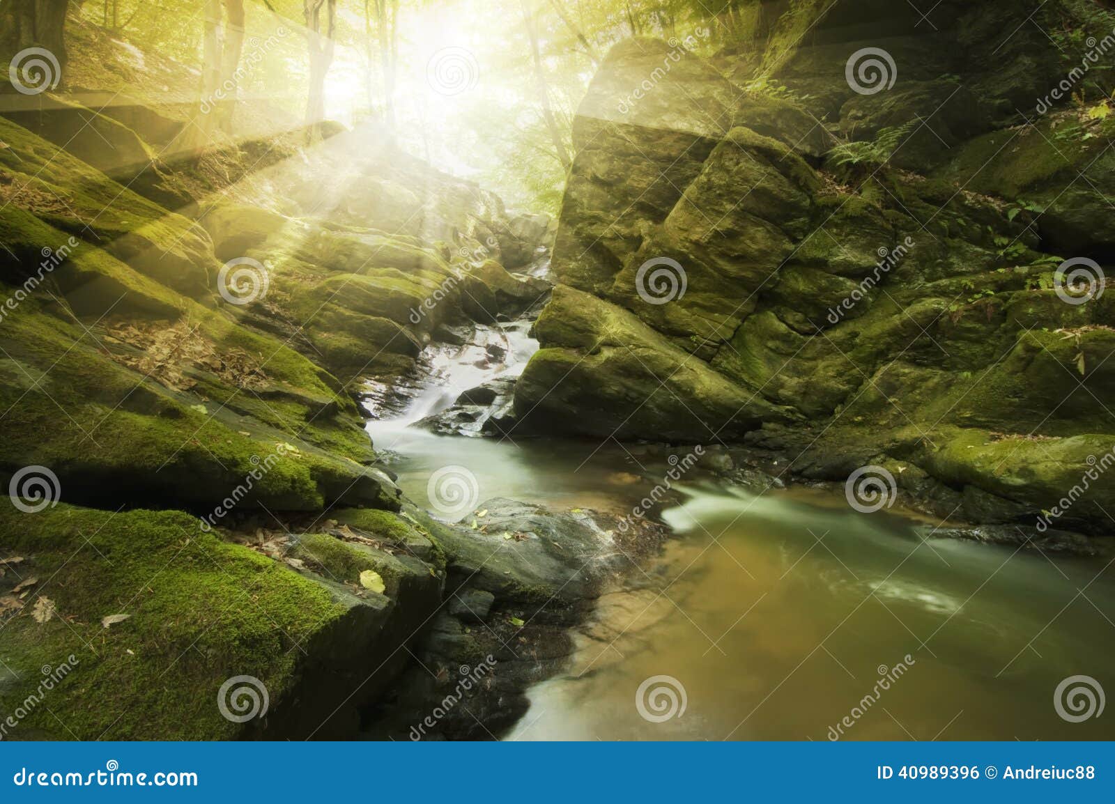 Sun Shining Over River with Rocks and Rapids Stock Photo - Image of ...