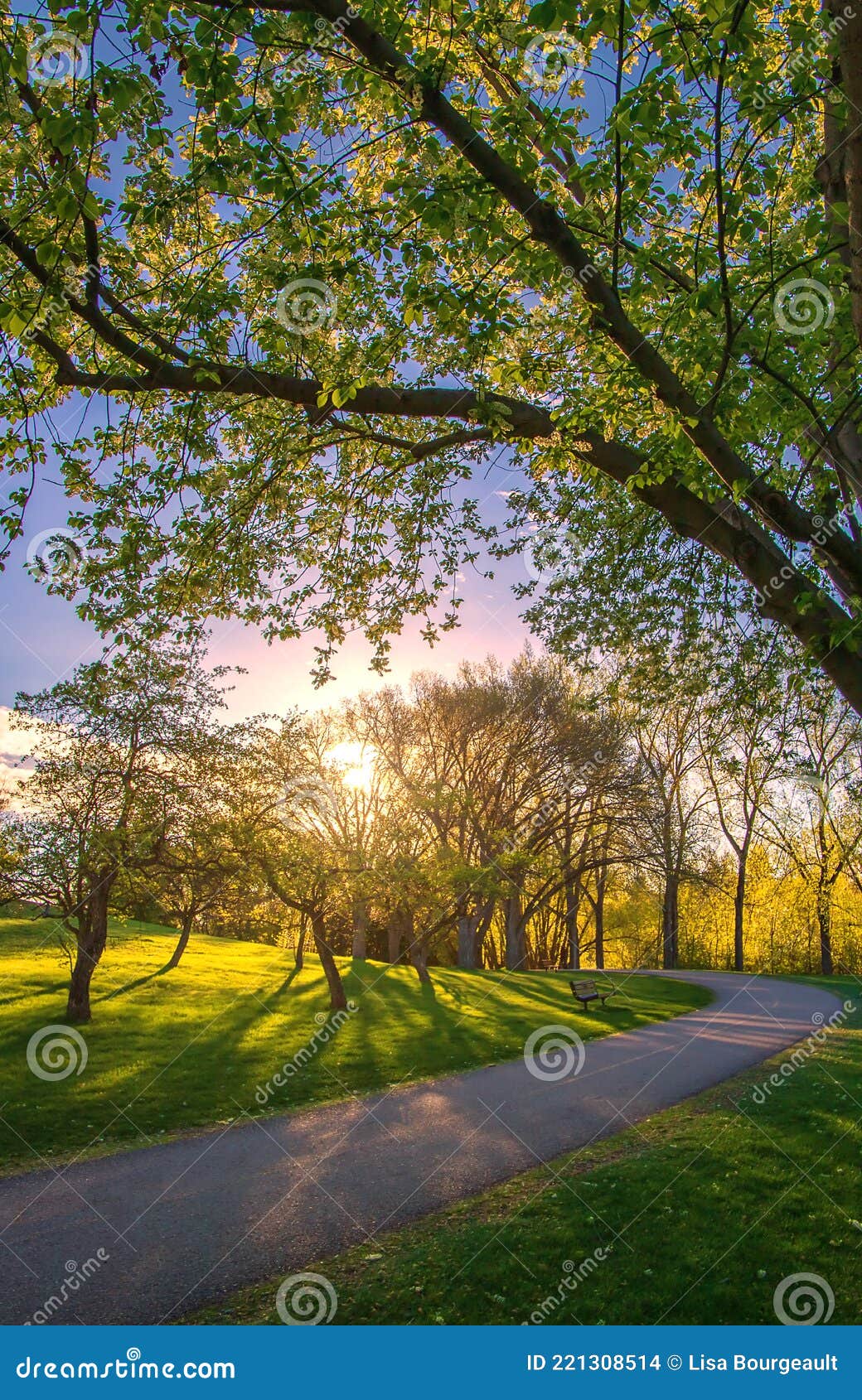 Sun Shining Over a Spring Park Stock Photo - Image of walkway, calm ...