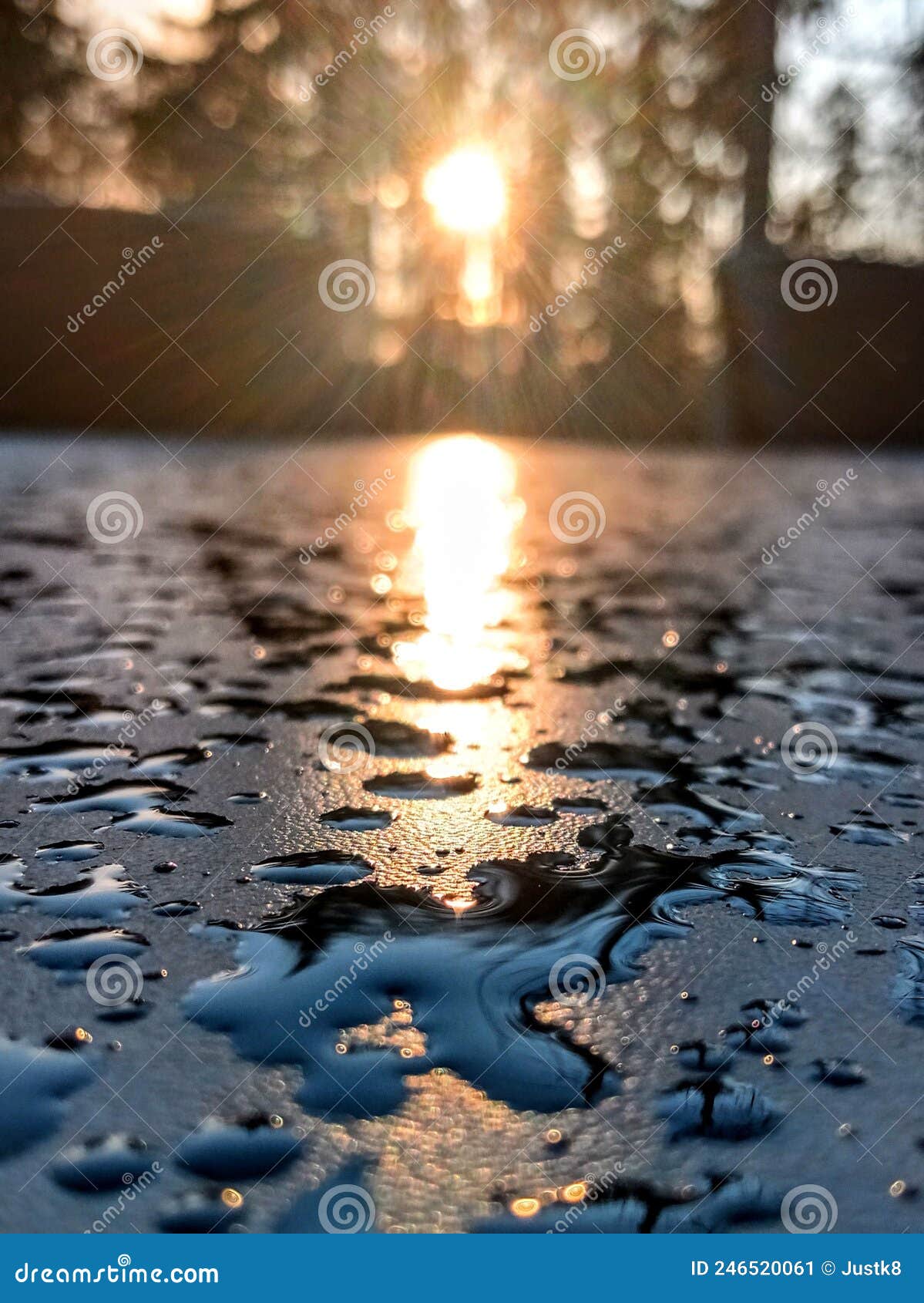 Water Reflection on Rain Drops during Sunset Stock Image - Image of ...